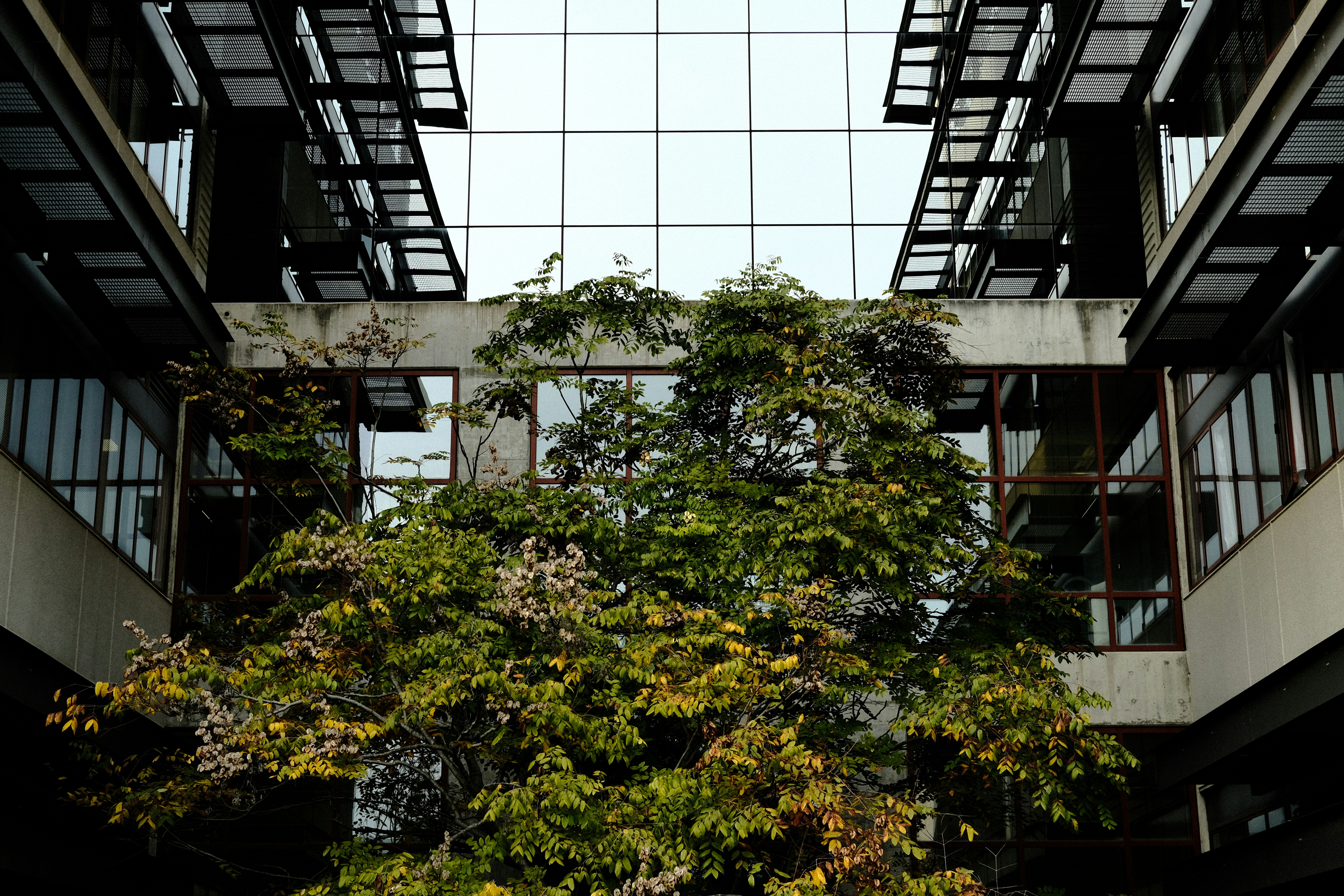 Photo by Carlos Gonzalez with Fujifilm X-Pro3