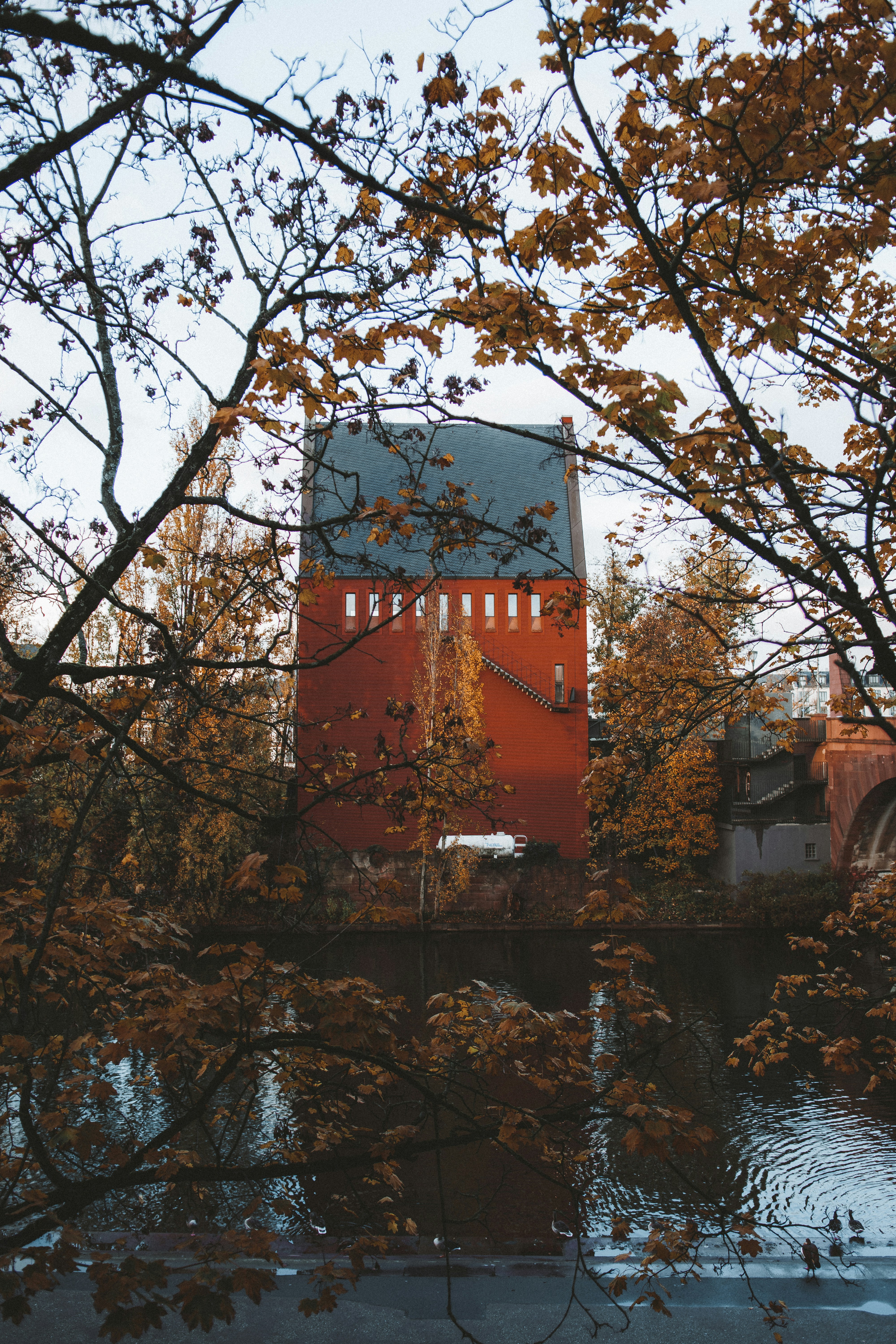 Autumn Frames a Red Brick Tower Across the Canal