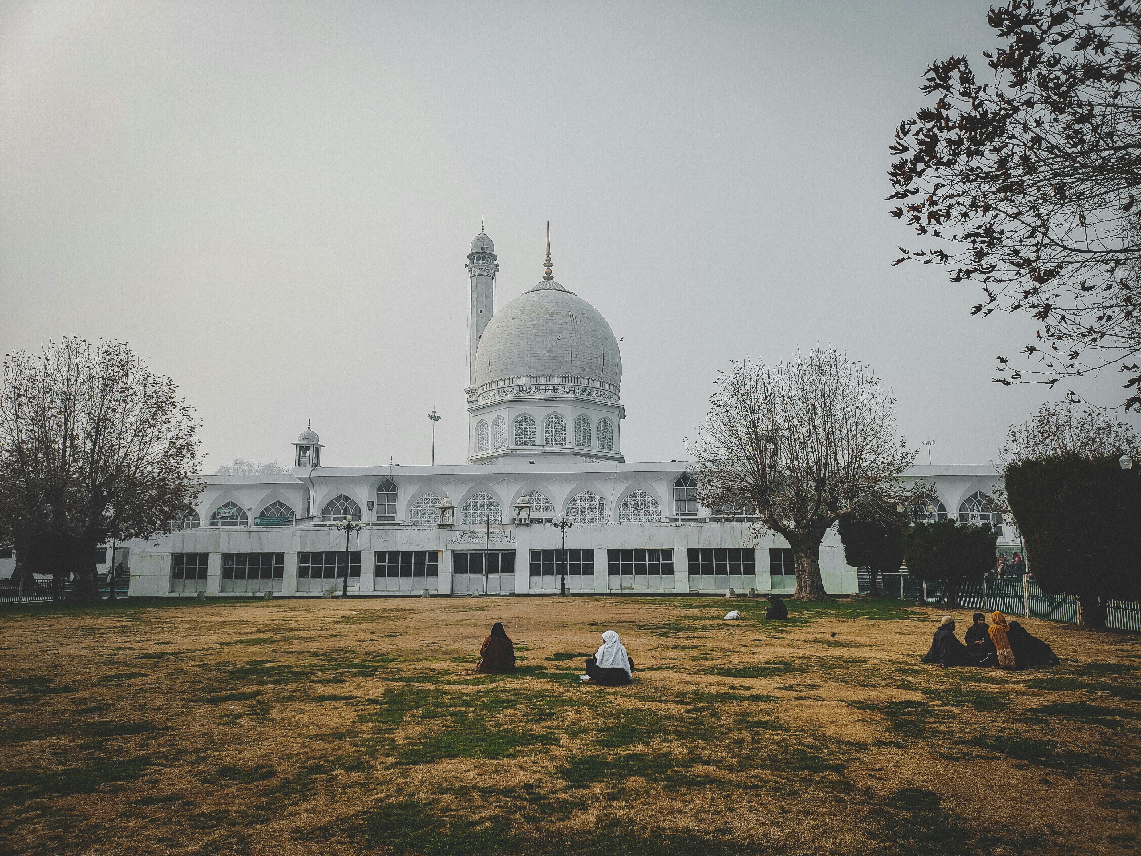 Sample photo from Vivo iQOO 7