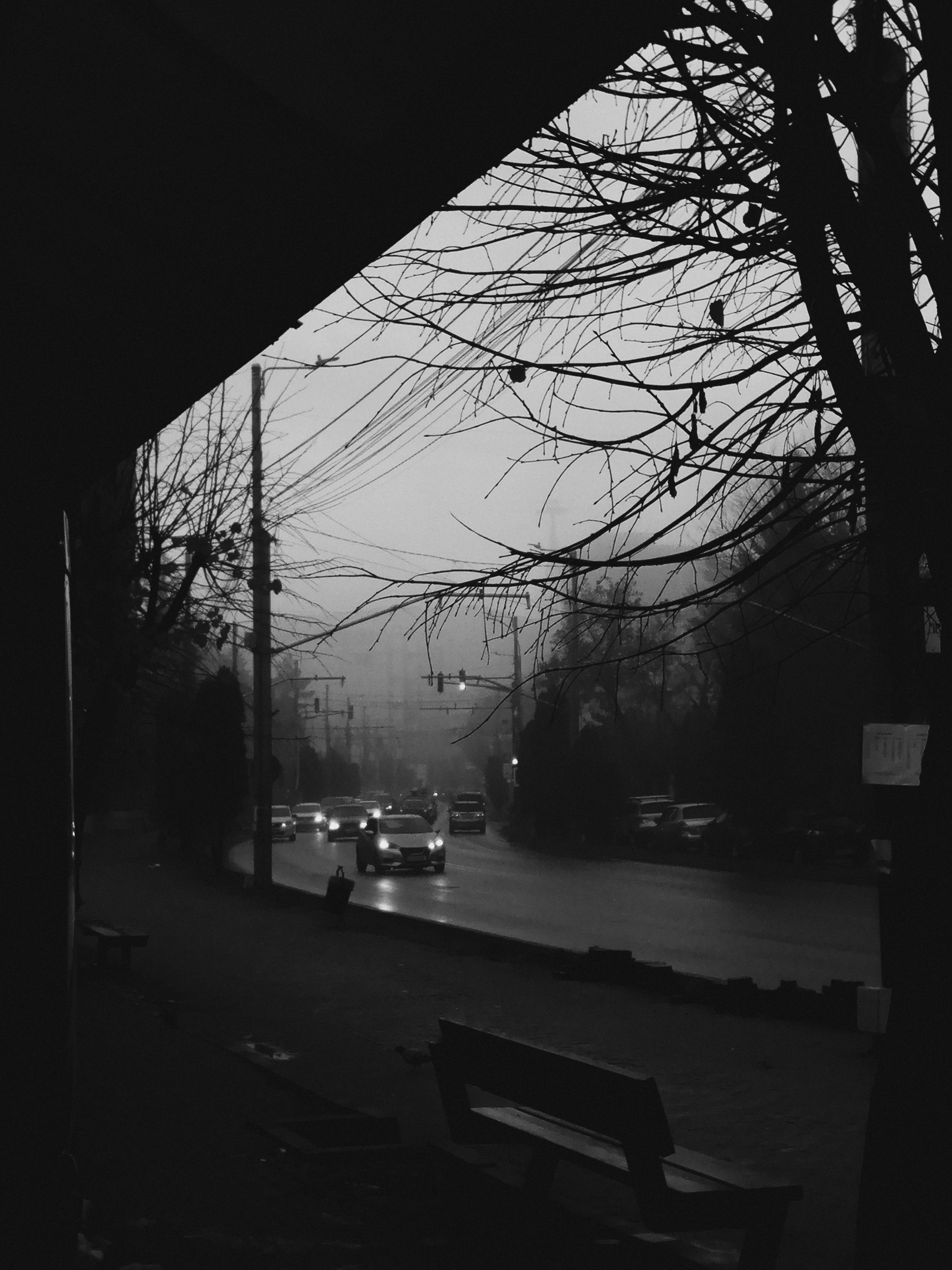 Photo by Michael with Huawei P Smart