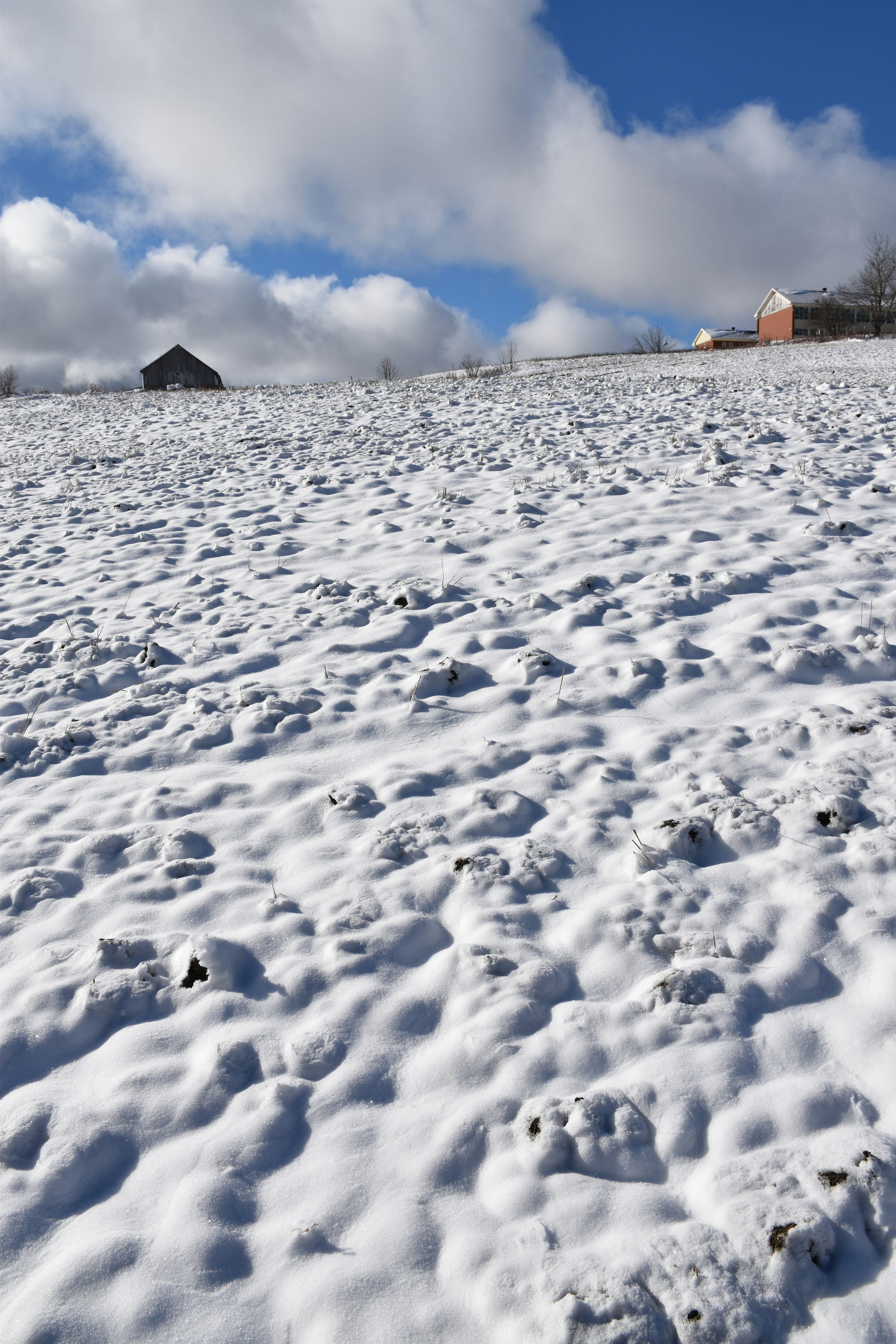 A large field of snow photo – Free Nature Image on Unsplash