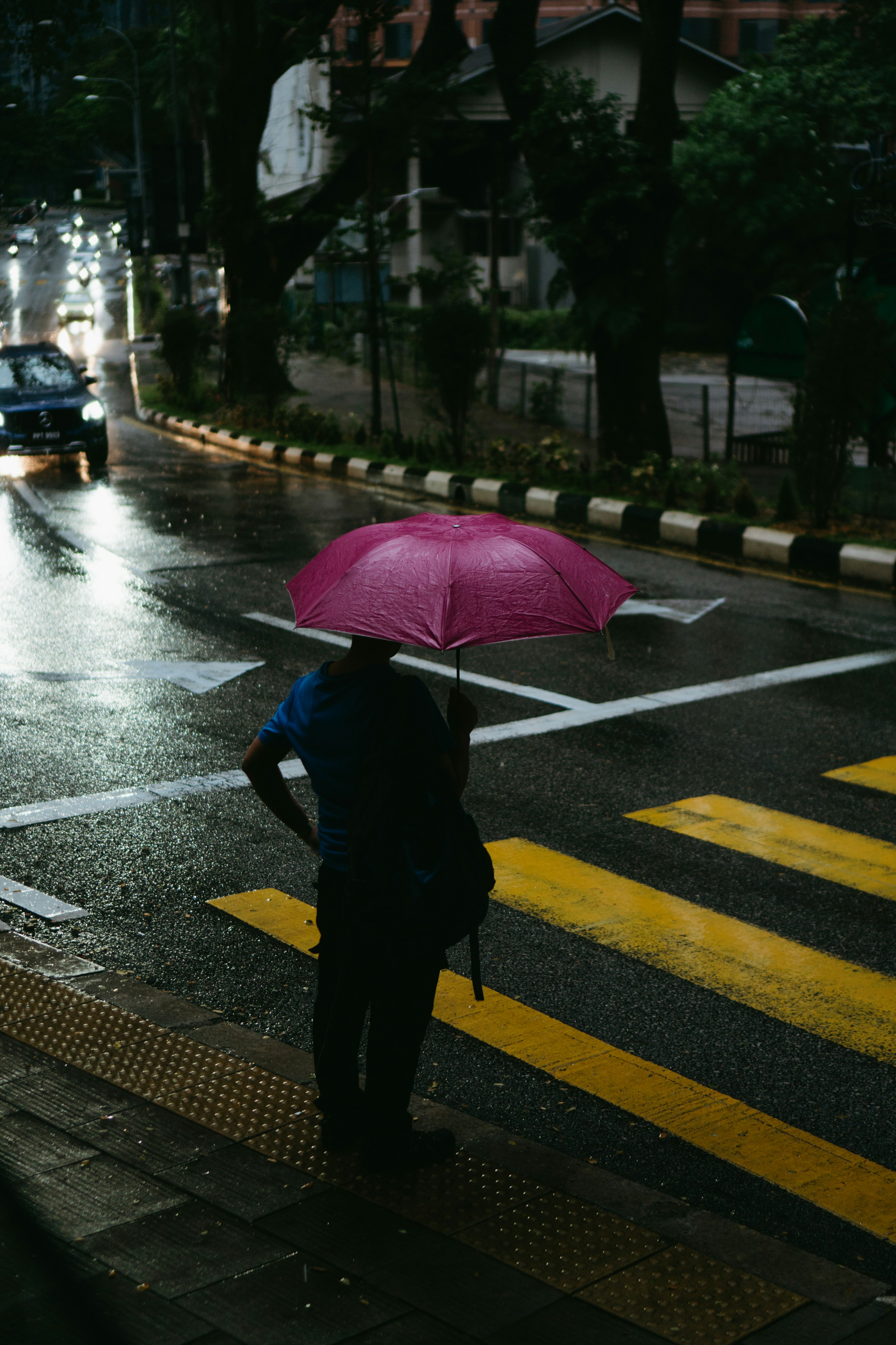 a person holding an umbrella on a rainy day