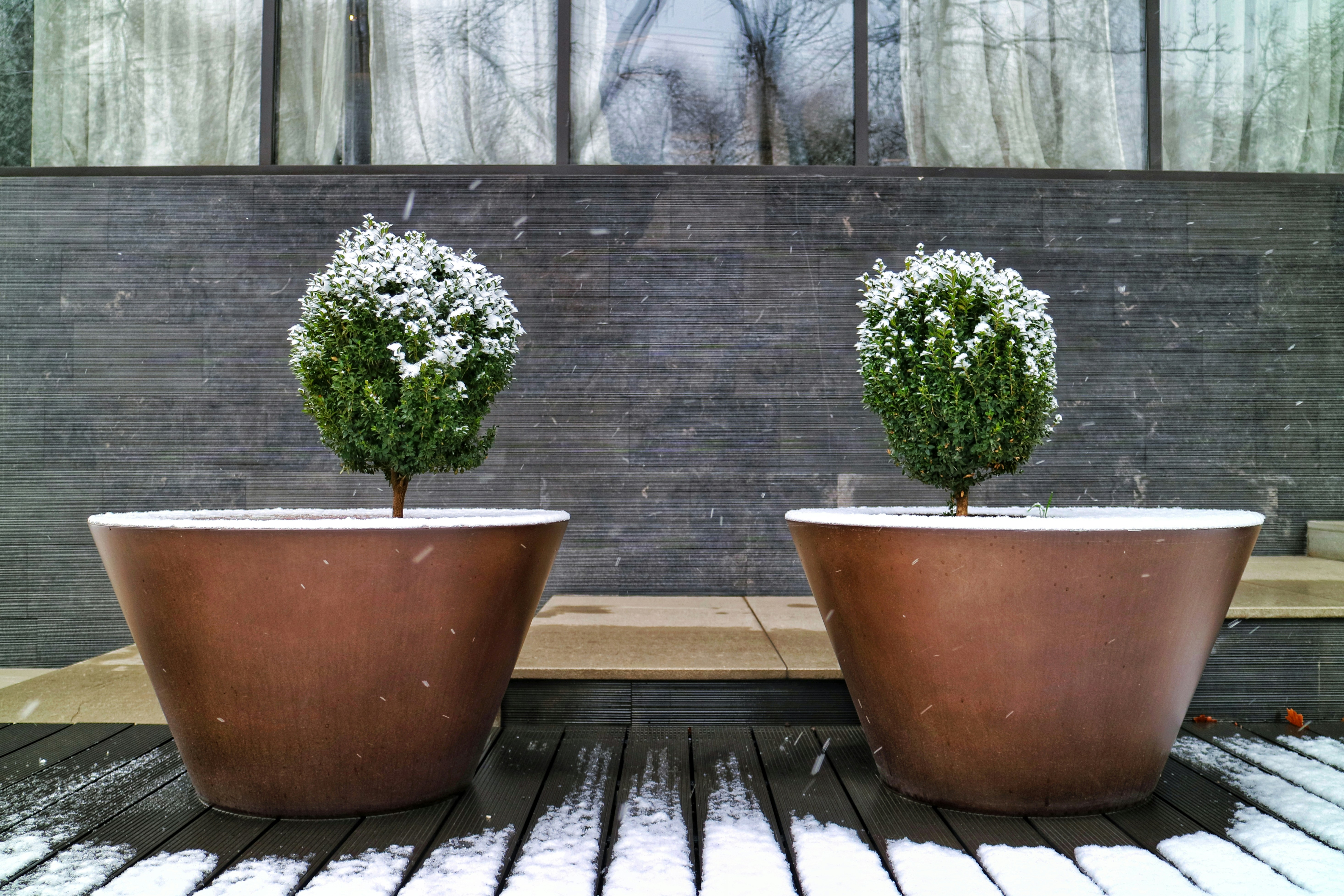Snow-Kissed Terracotta Planters: Symmetry in a Quiet Courtyard