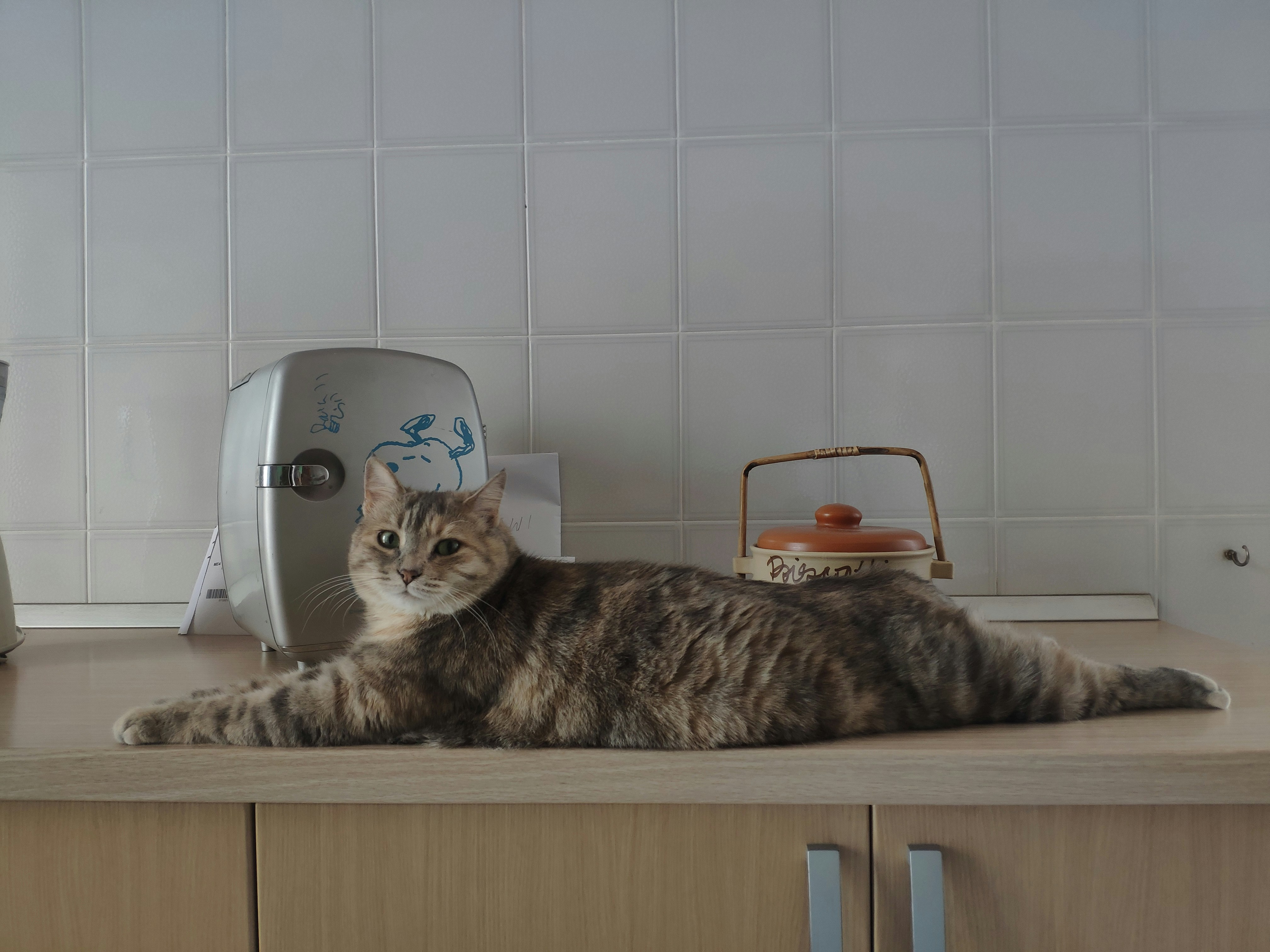 A relaxed tabby cat lounging on a kitchen countertop, exuding an air of calm authority amidst kitchen appliances and decor.
