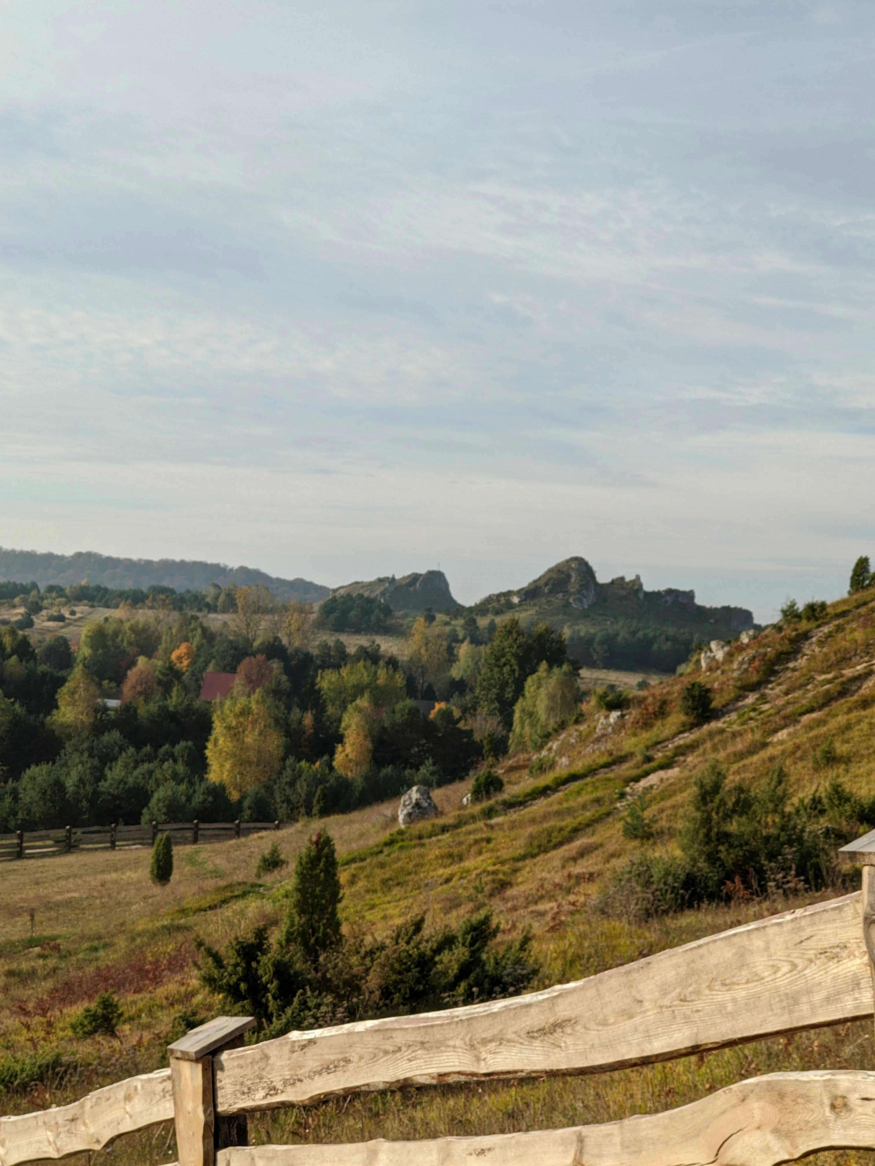 A wooden fence overlooking a town photo – Free Olsztyn Image on Unsplash