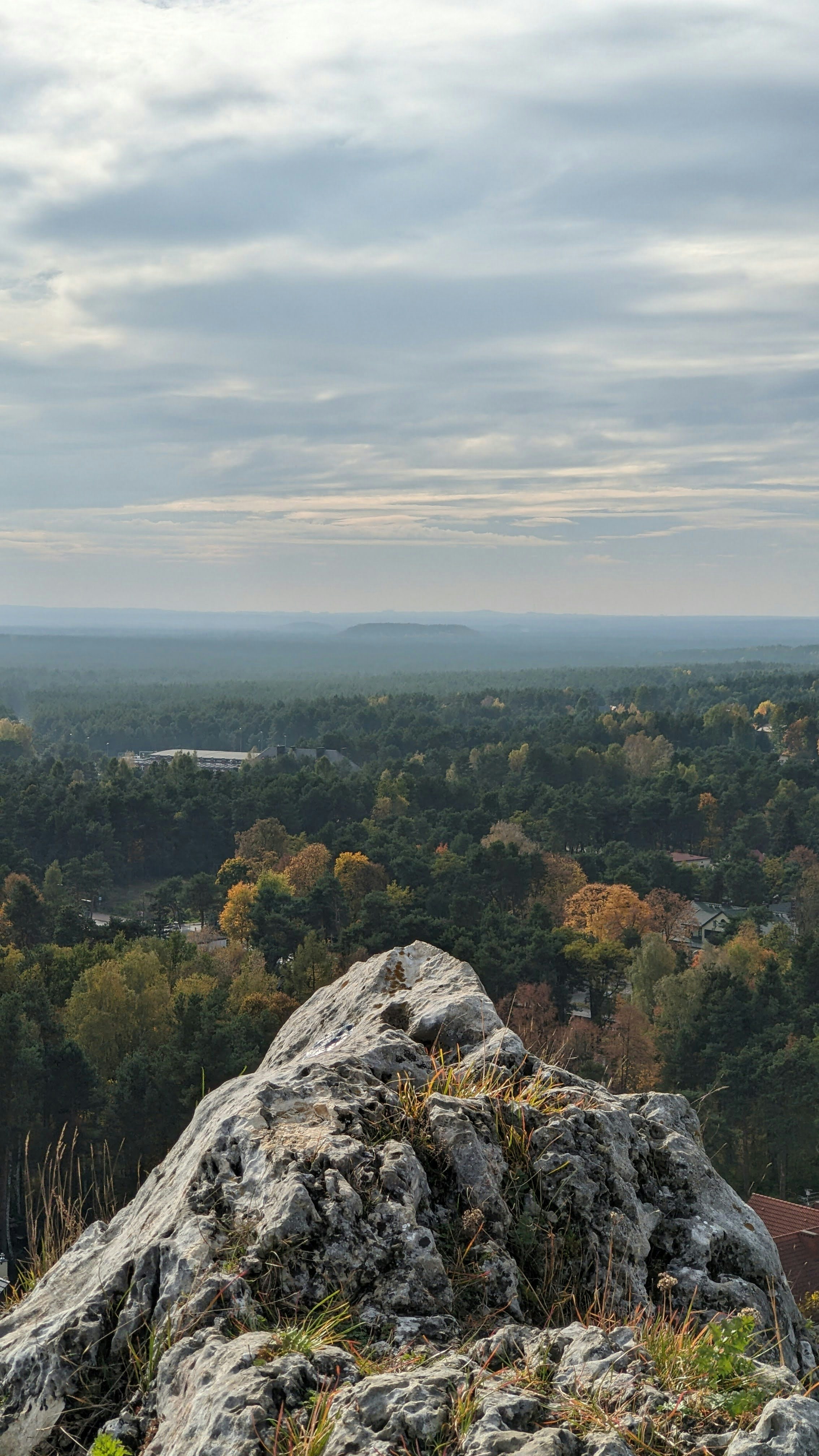 A Quiet Crest: Rocks Framing a Distant Forest Under Soft Sky