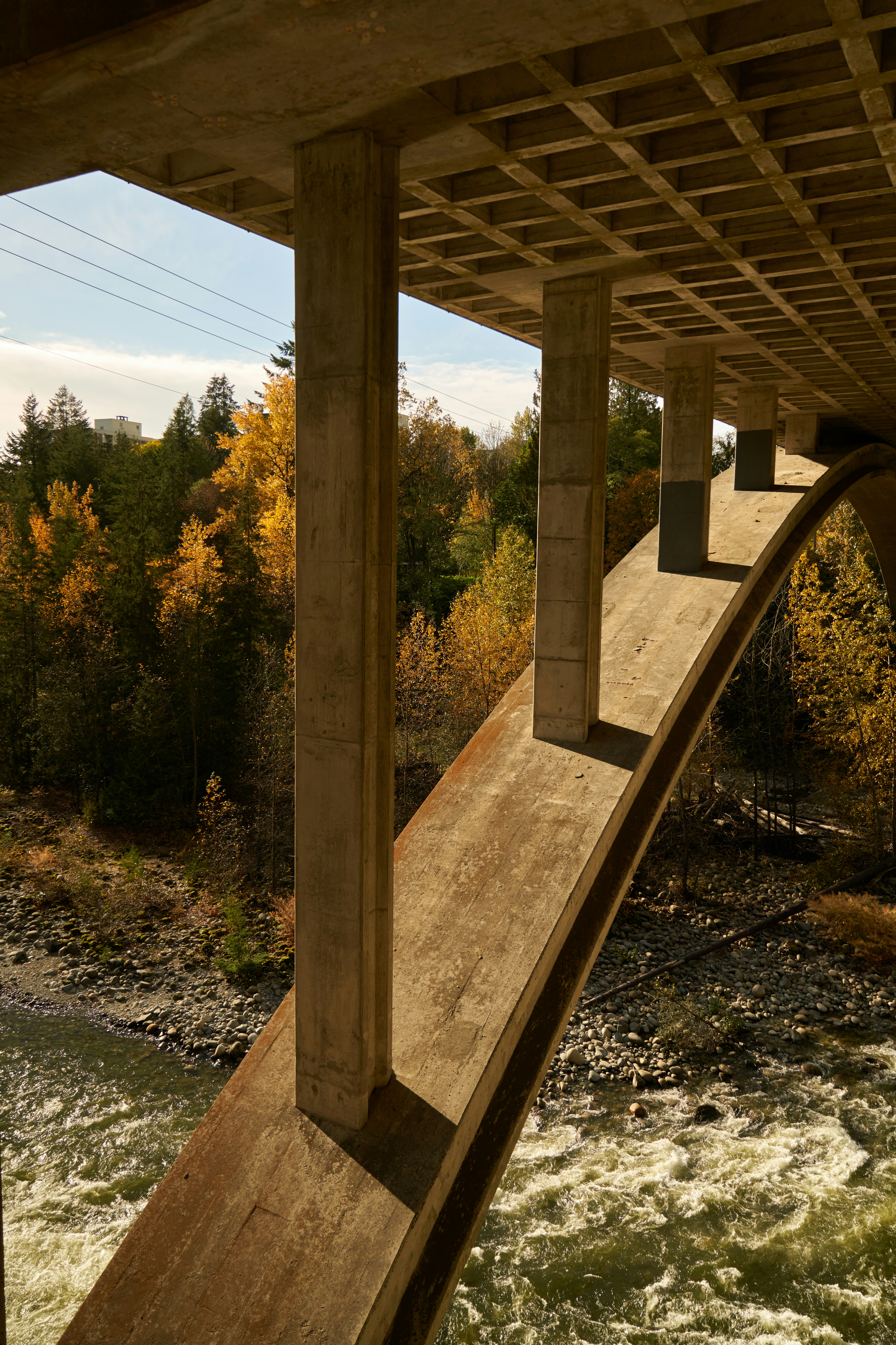 Under the Arch: A Concrete Bridge Crossing a Rushing River