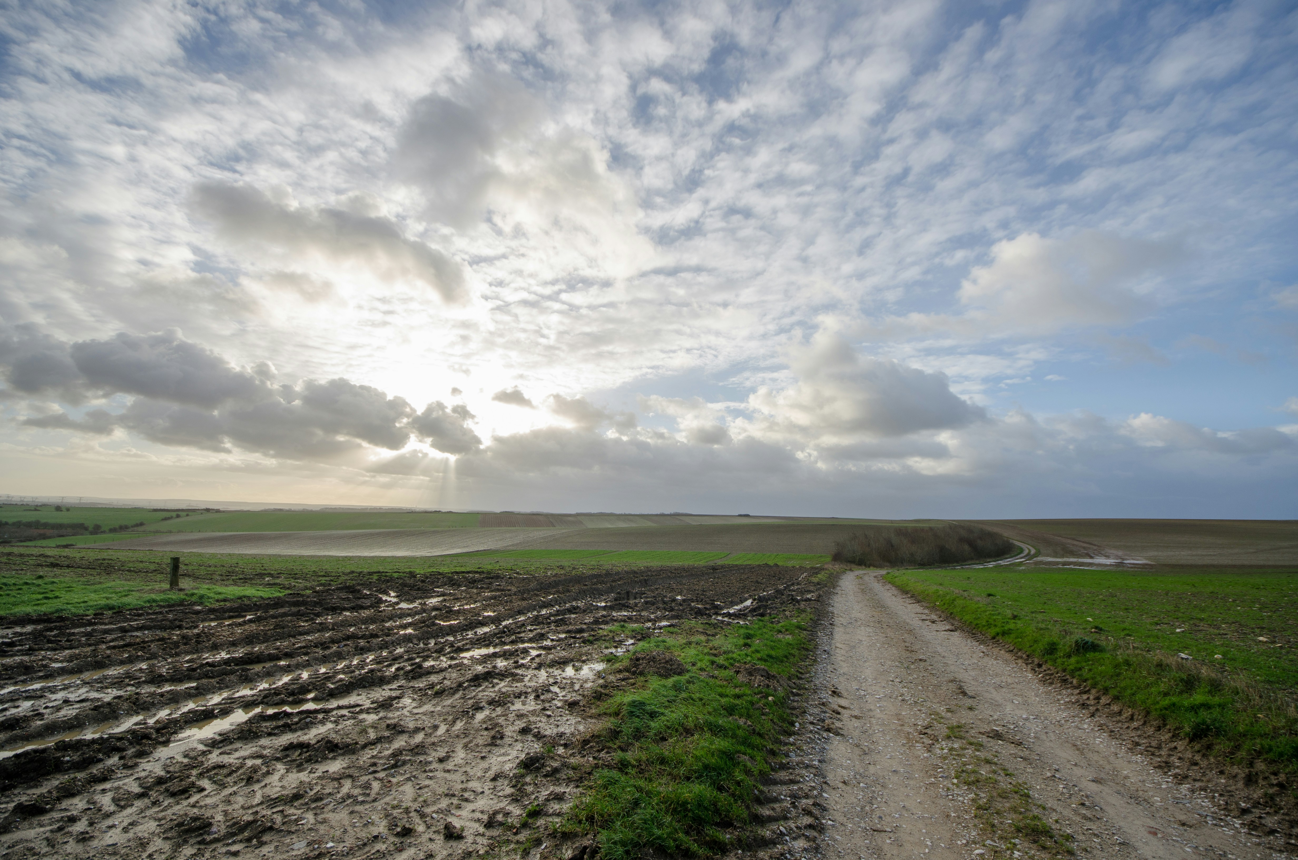 Rural Crossroads at Quiet Horizon
