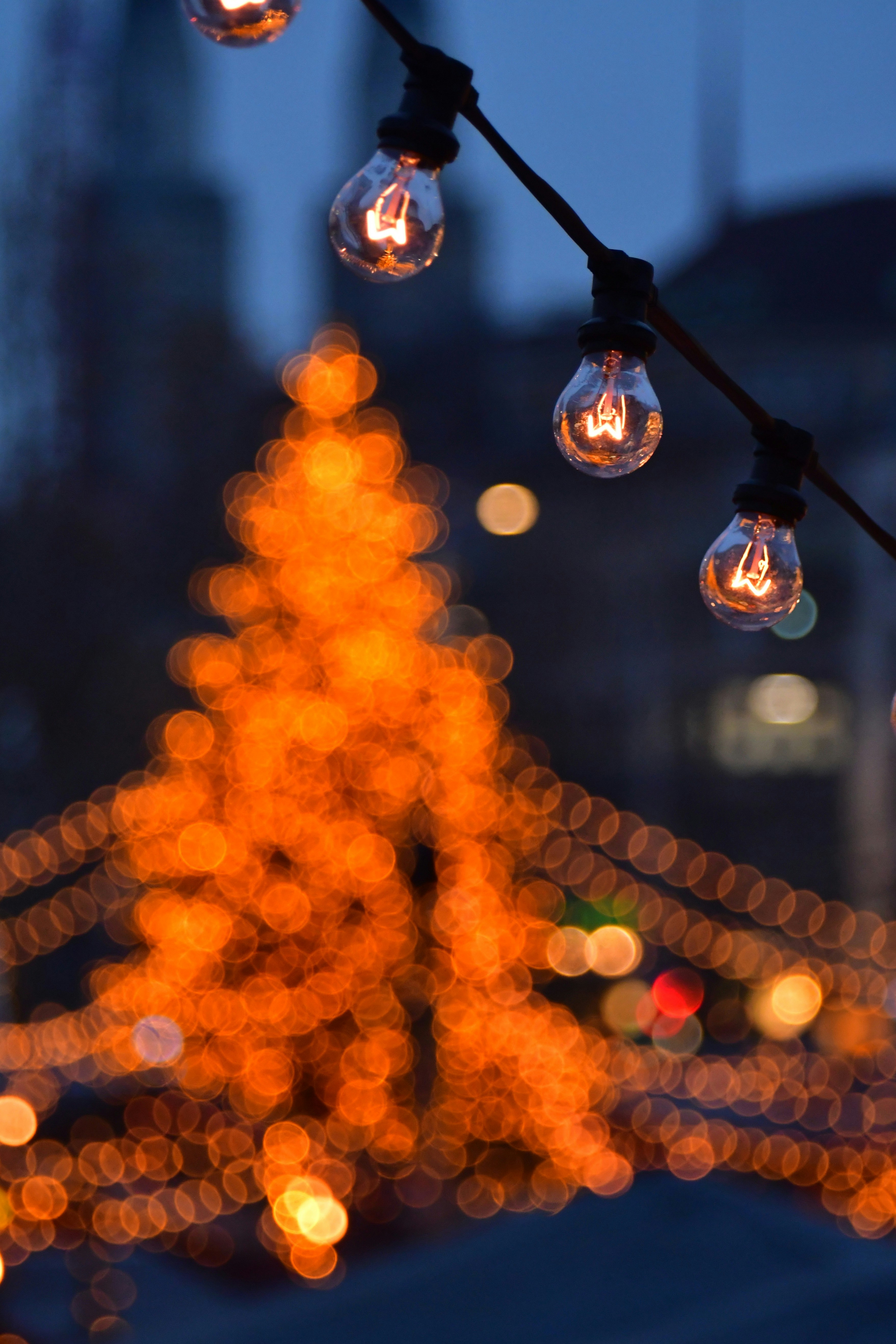 Focused Bulb in a Sea of Golden Bokeh