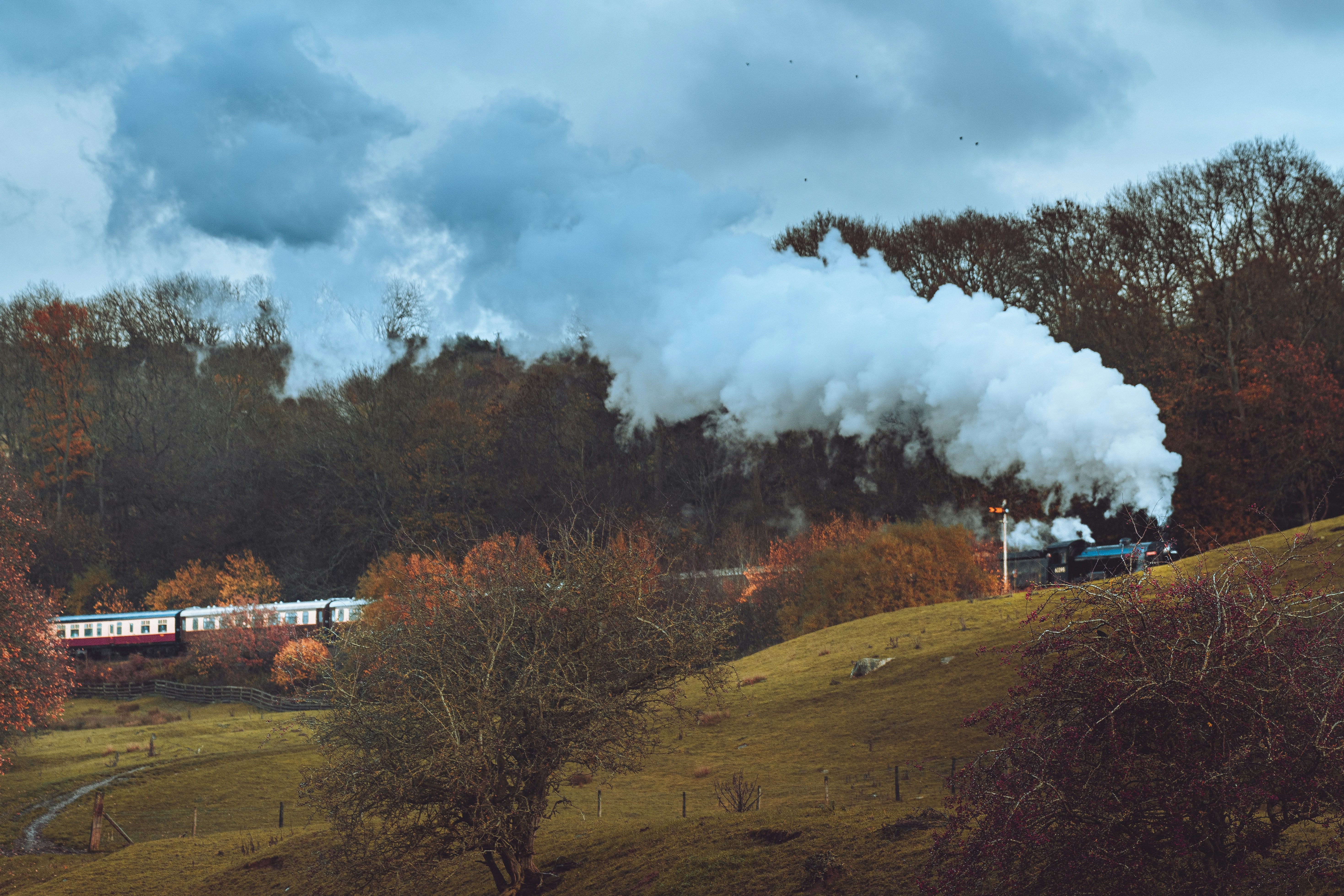 A train going by a field photo – Free Nature Image on Unsplash