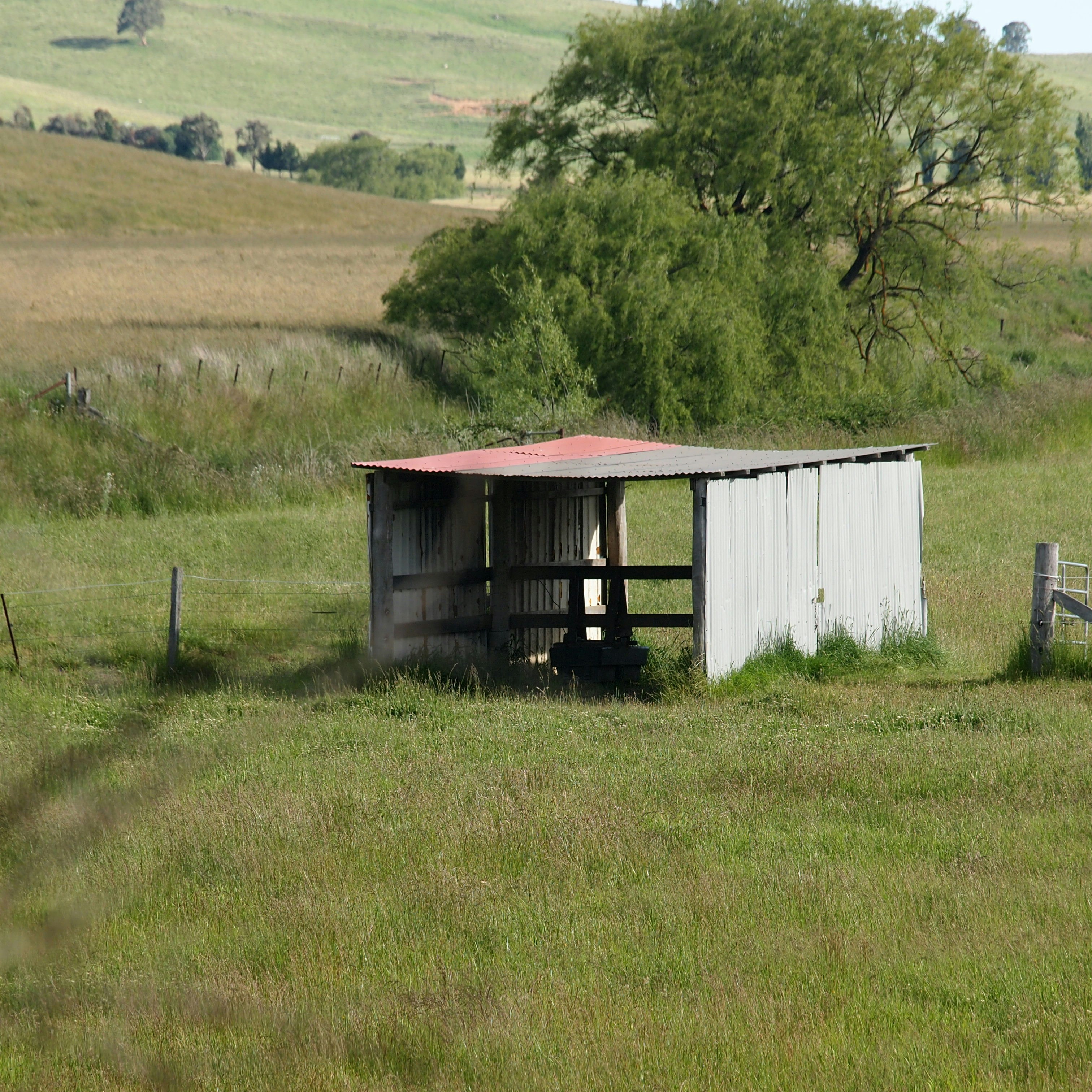 Weathered shed surrounded by lush green grass and distant hills, embodying rural tranquility.