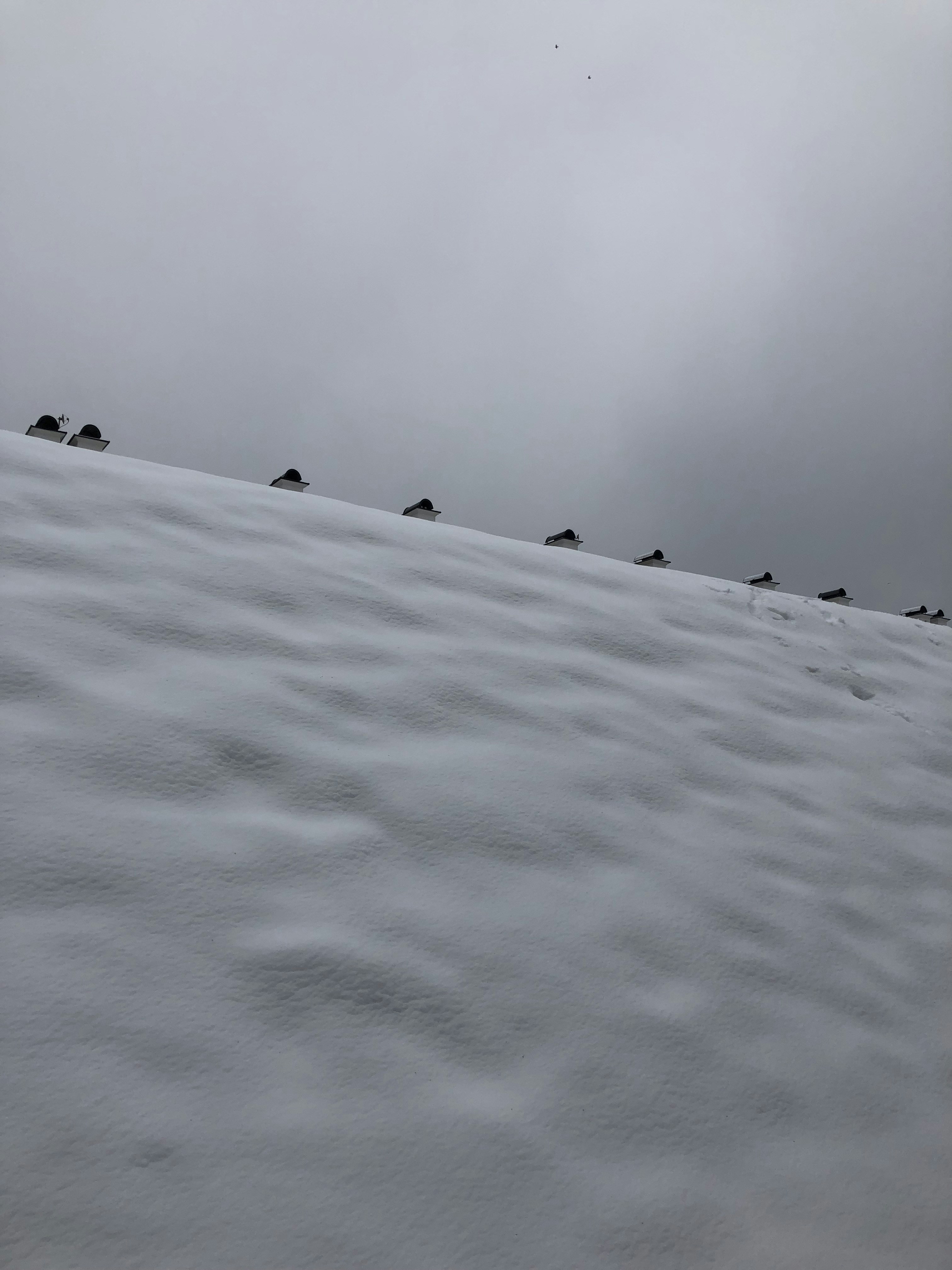 Row of Snow-Dusted Posts Across a Quiet, Grey Horizon