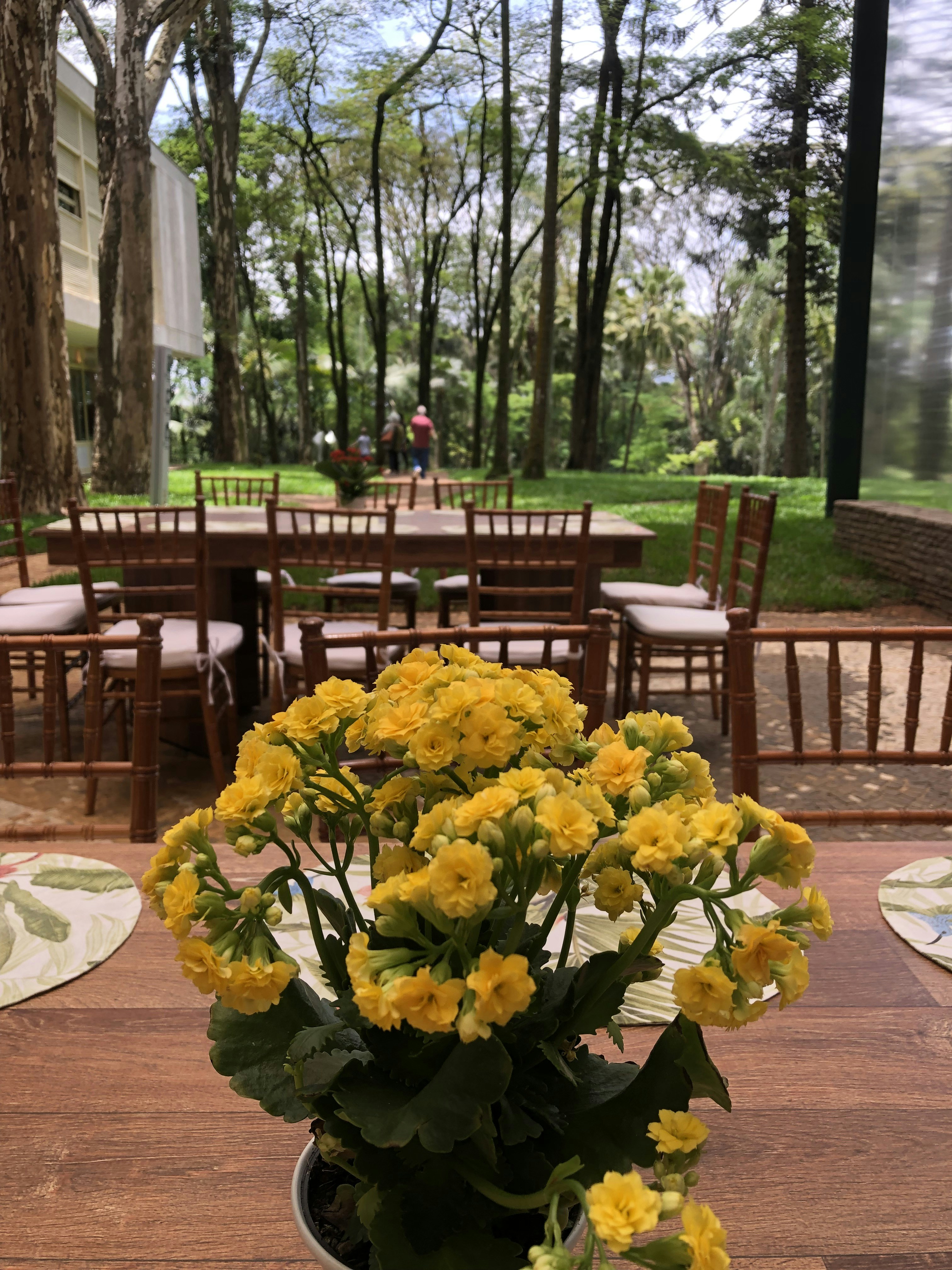 Photo by Beatriz Monteiro with Apple iPhone 8 Plus