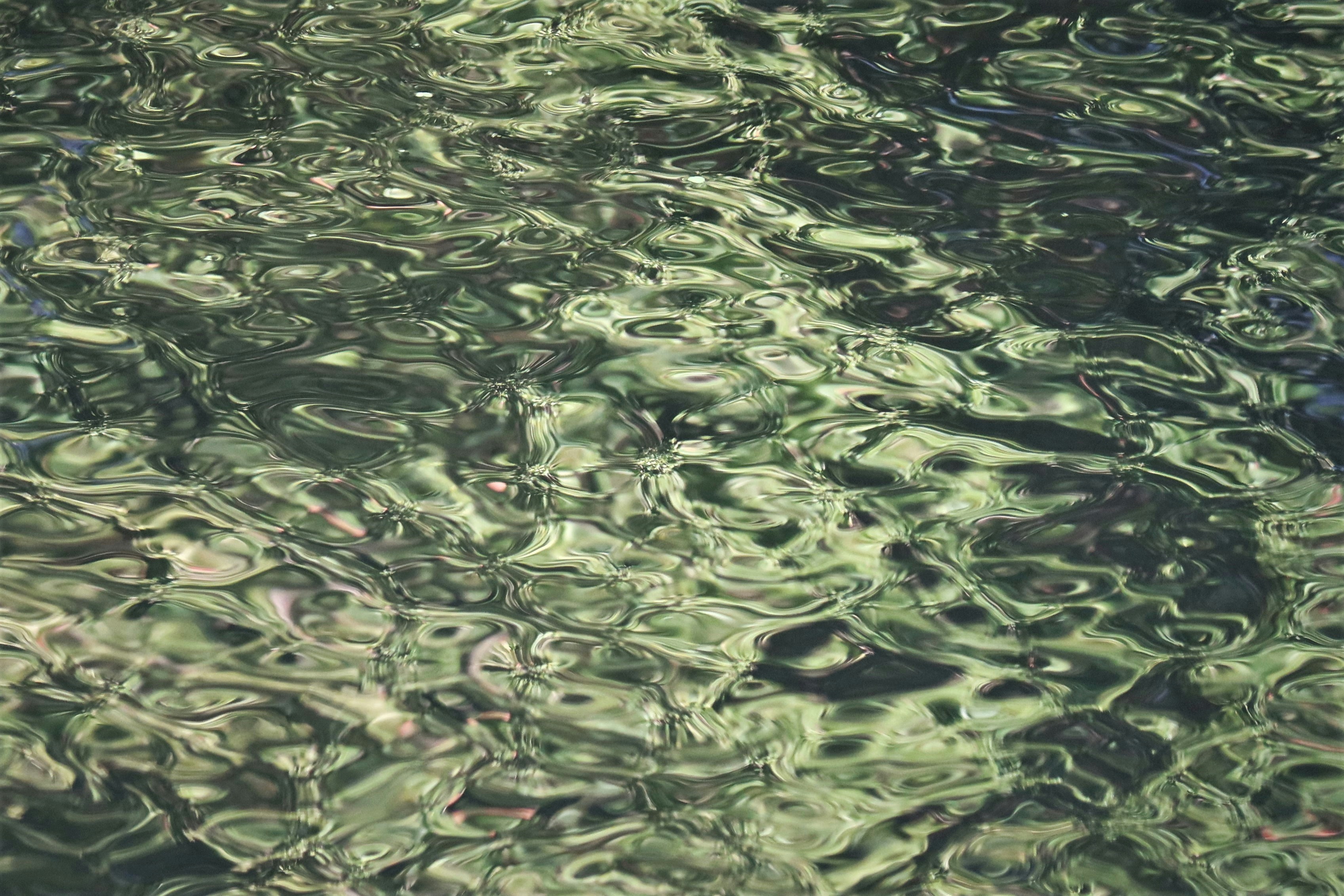 Rippling water surface reflecting dappled light and subtle colors, creating an abstract interplay of nature's palette.
