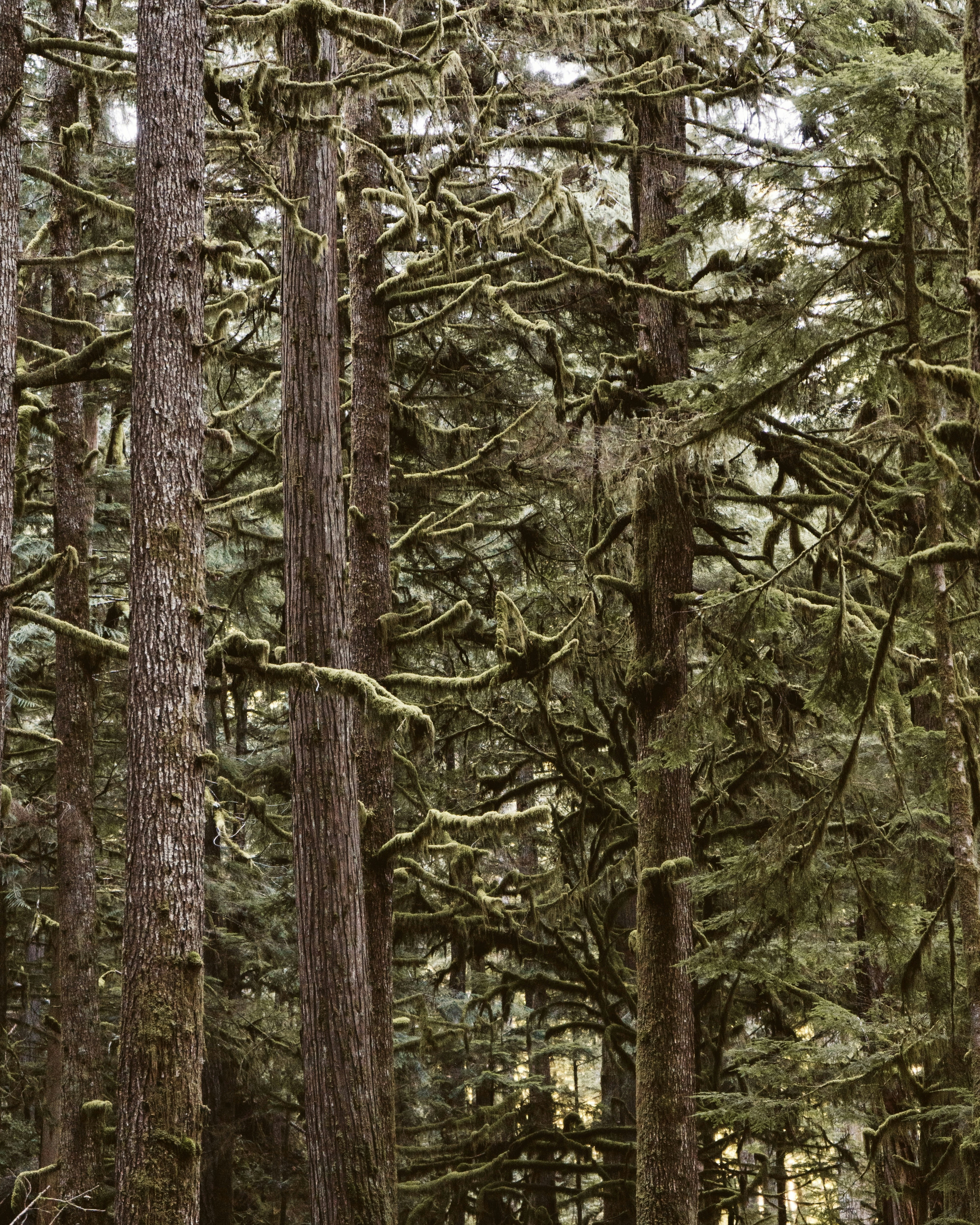 Photo by Jason Hawke 🇨🇦 with Sony Alpha 7 III