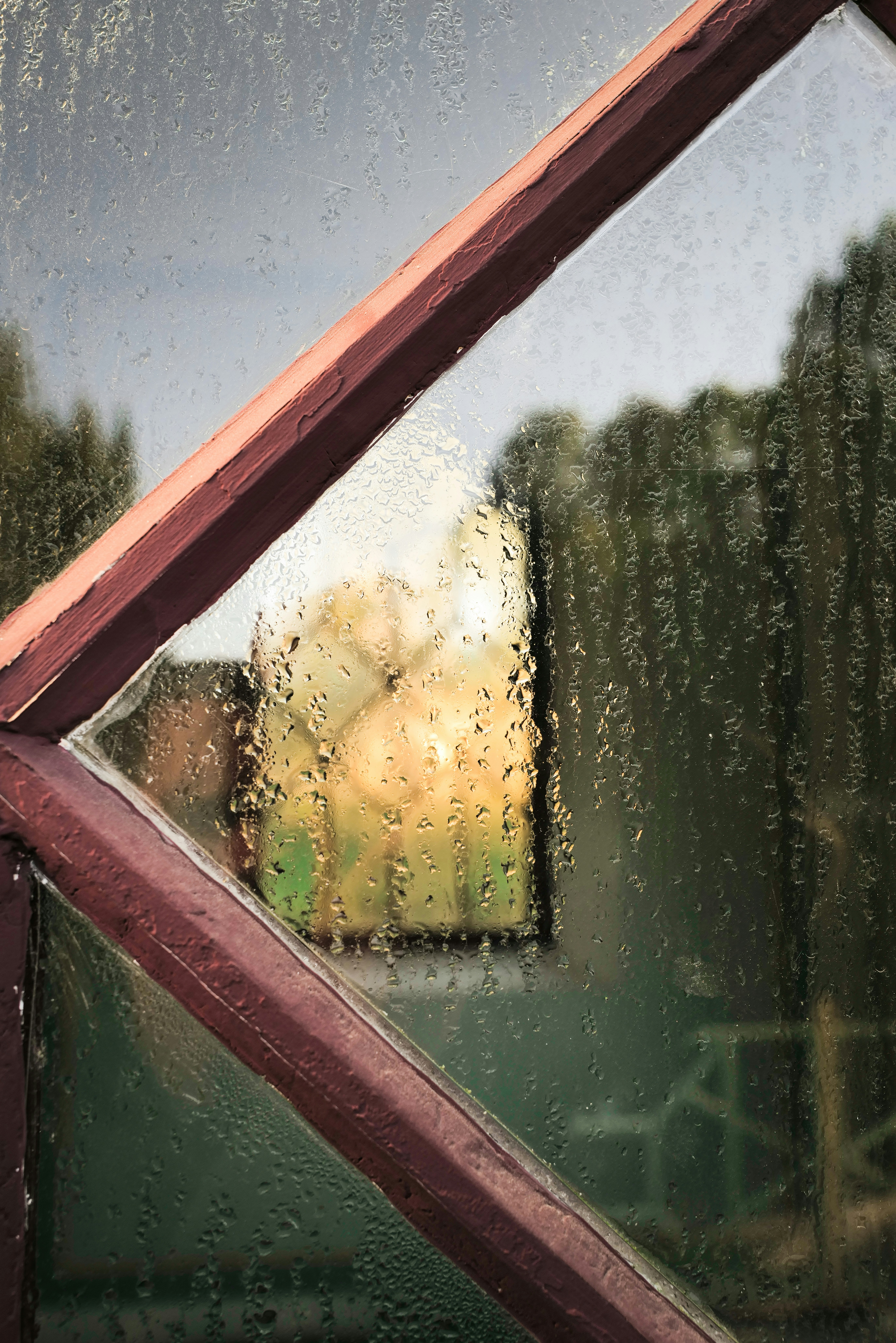 Crossed Rails Through Rain-Kissed Glass: A Quiet Window Portrait