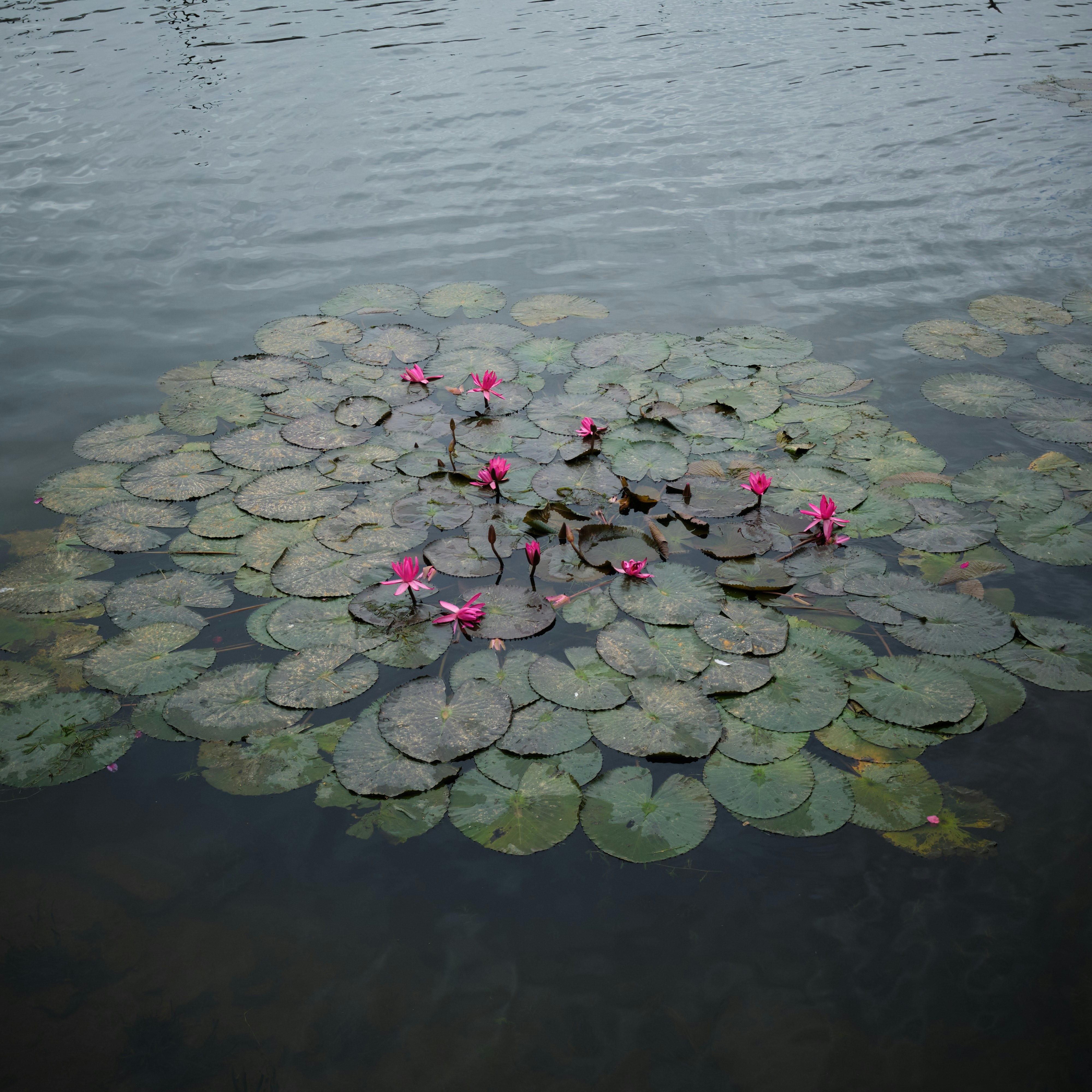 Photo by Aaron Boucicault with Fujifilm X100F