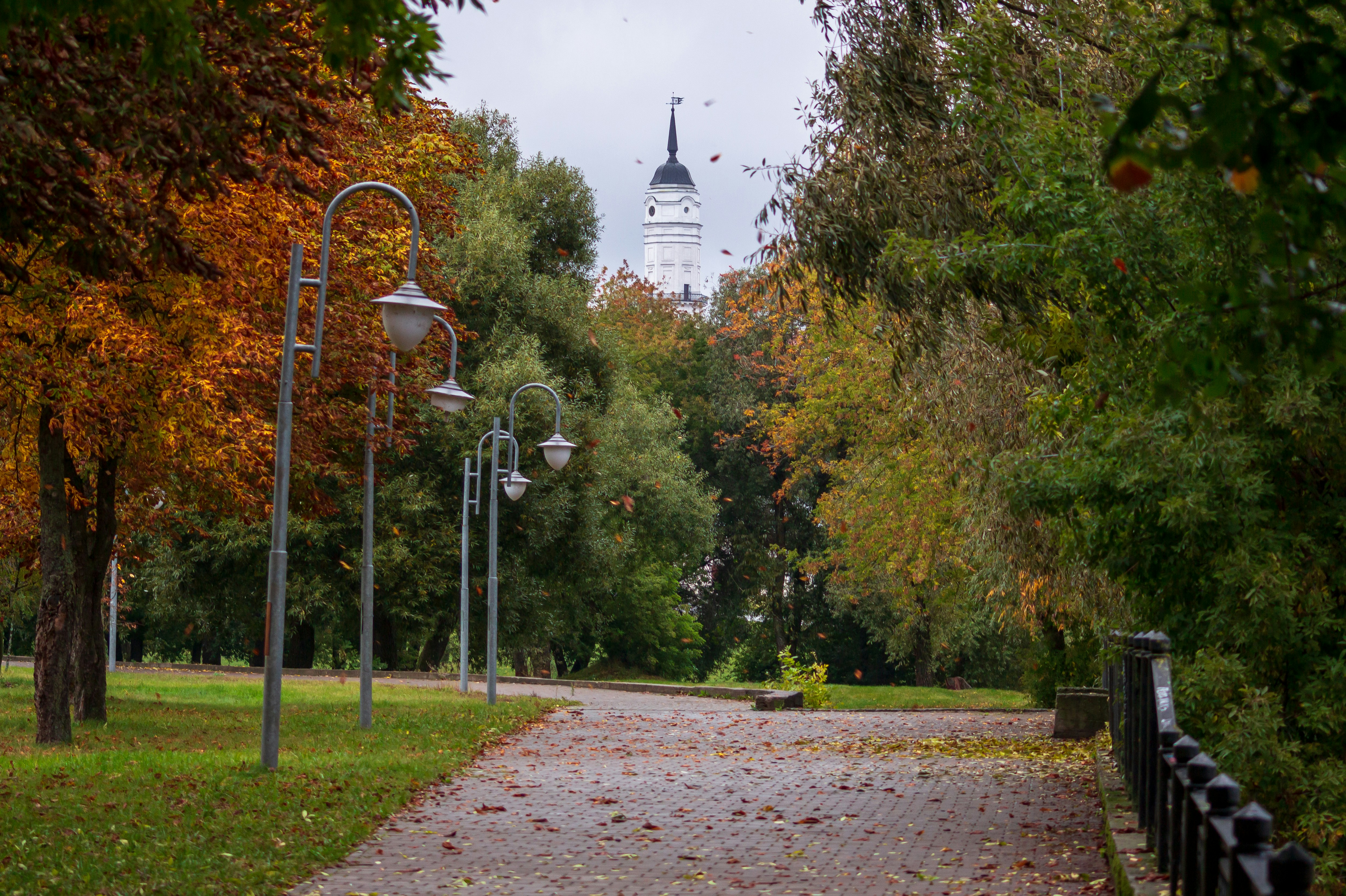 Tree-lined pathway with autumn foliage leading to a distant white spire.