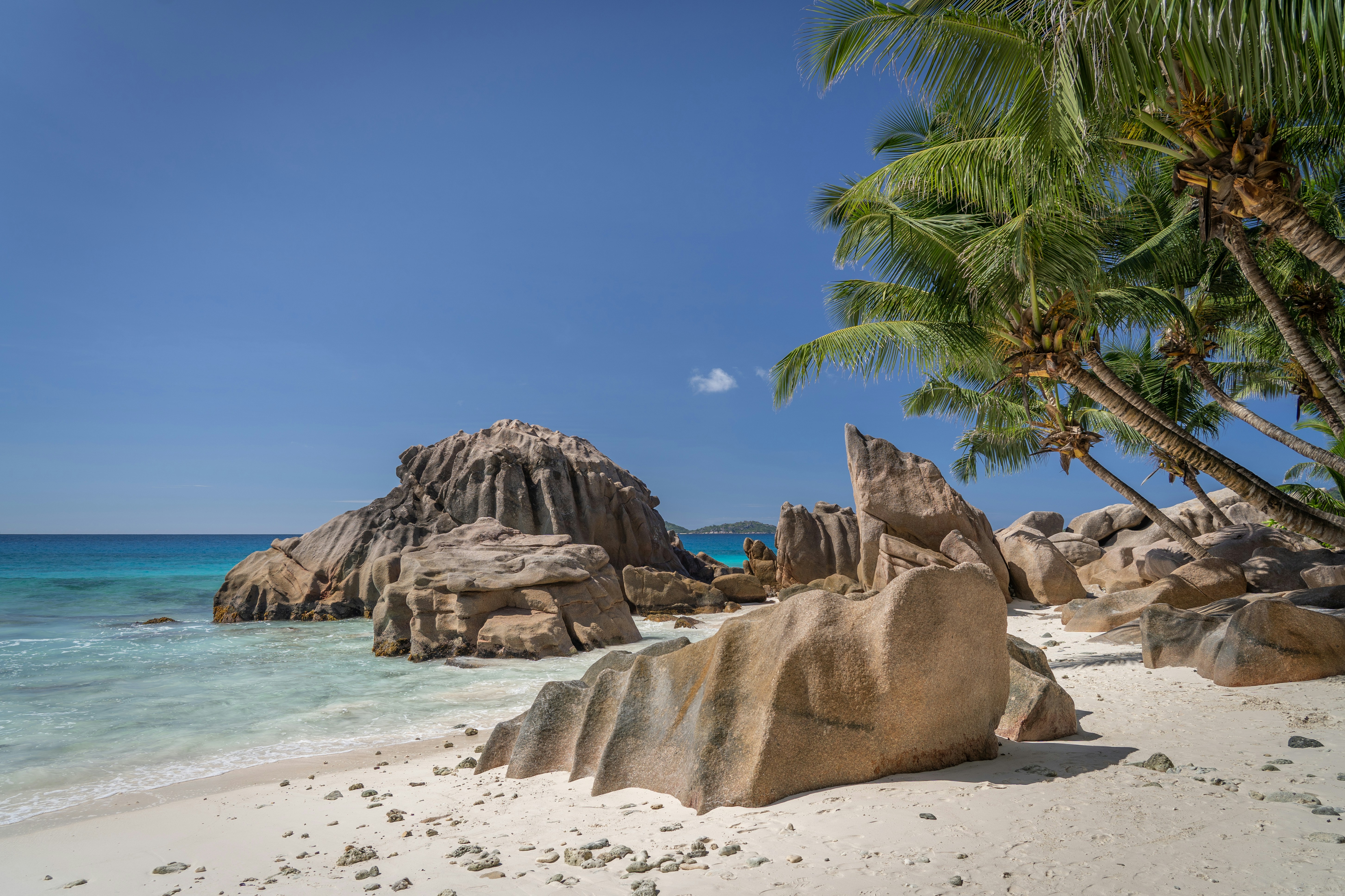 A group of rocks on a beach photo – Free Beach Image on Unsplash