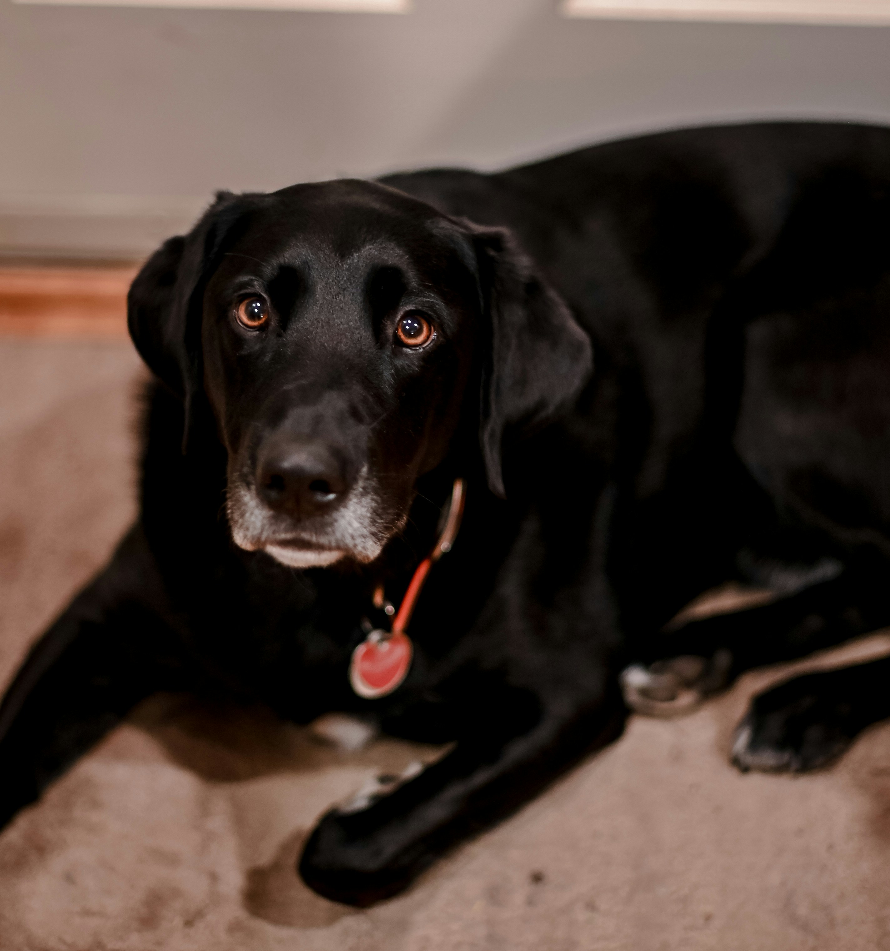 Sample photo from Nikon Z6 II