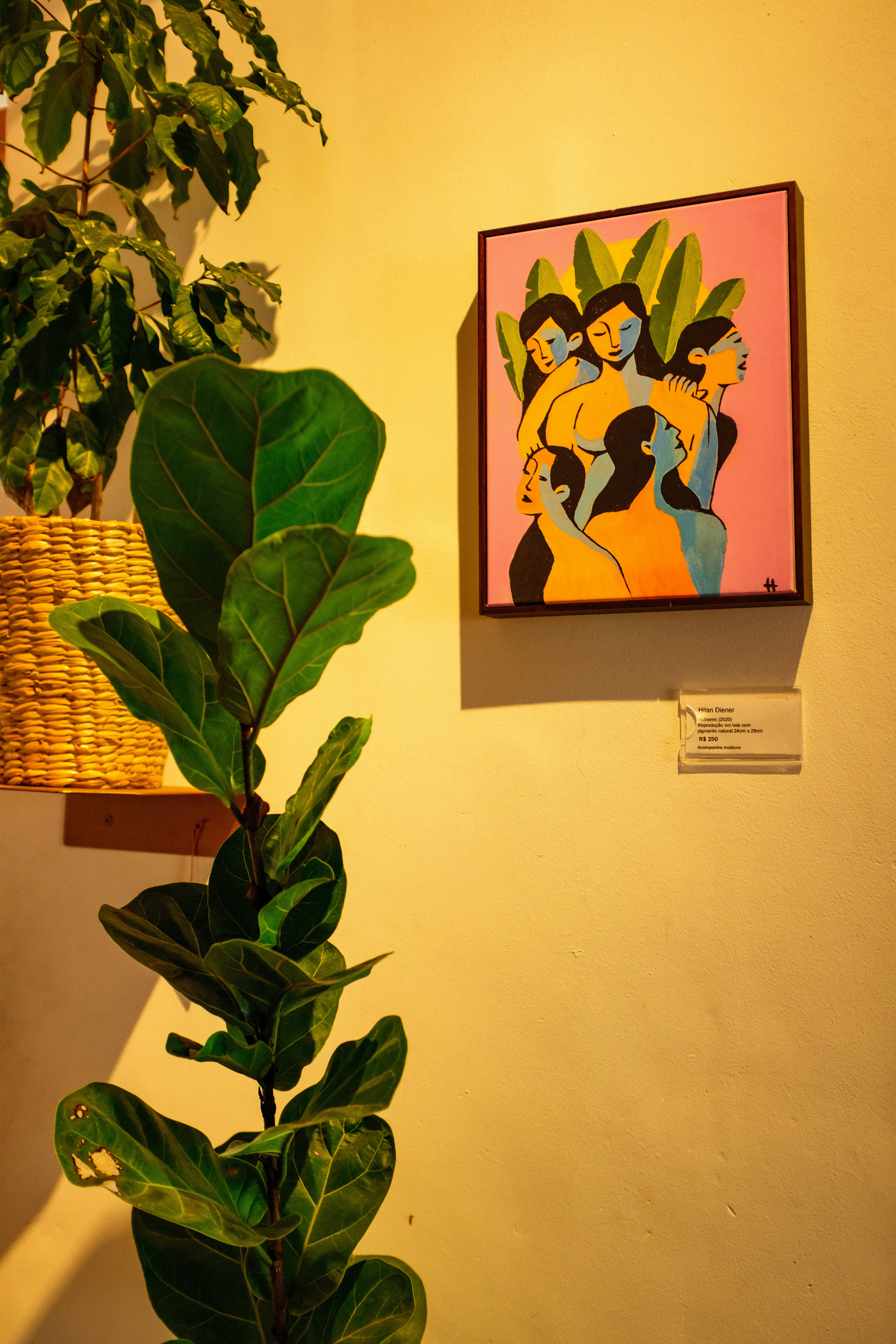 Photo by Feliphe Schiarolli with Fujifilm X100F