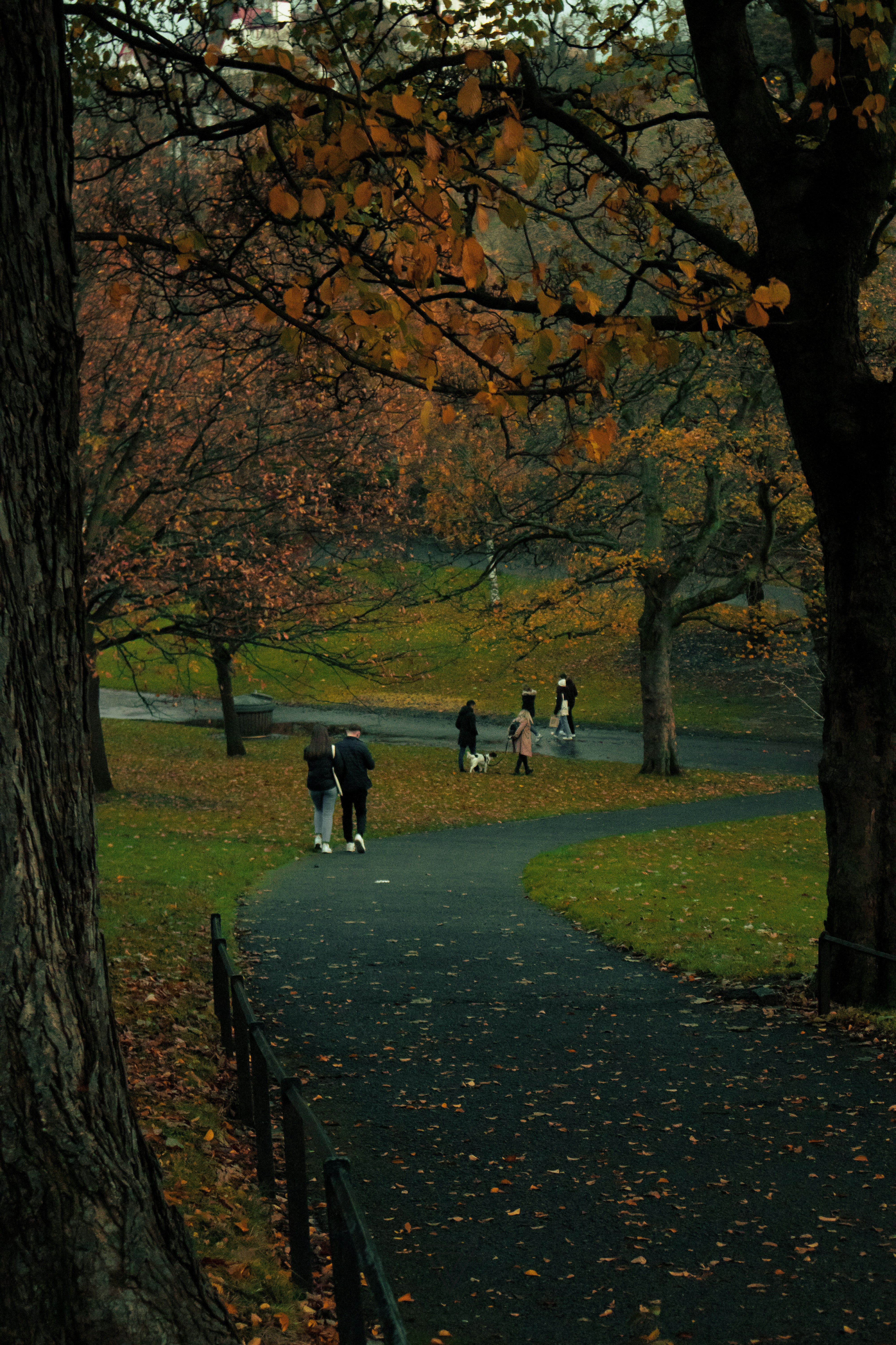Autumn Stroll Through Serpentine PathsVishnu Prasad