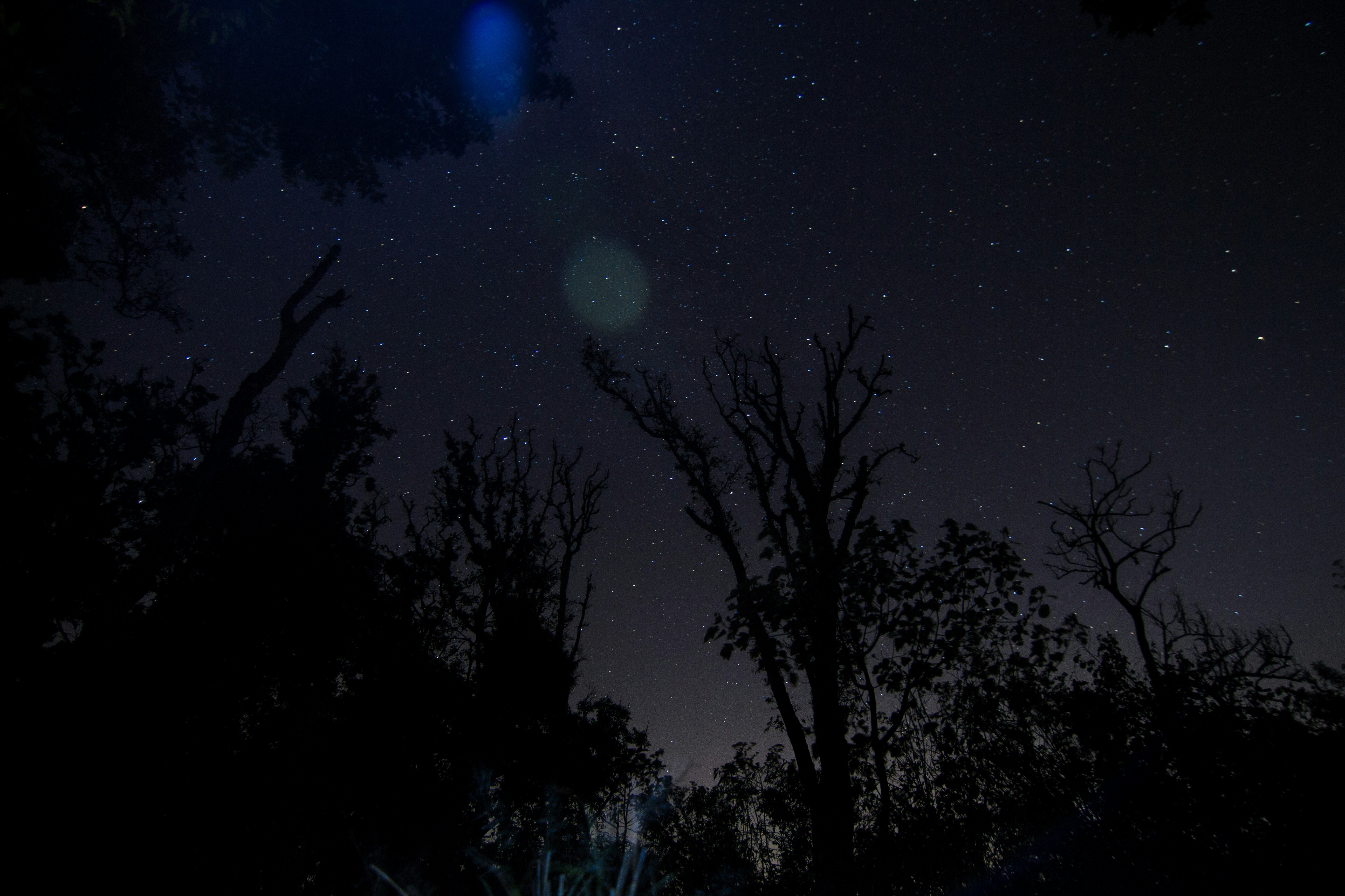 Bintang Pictures | Download Free Images on Unsplash