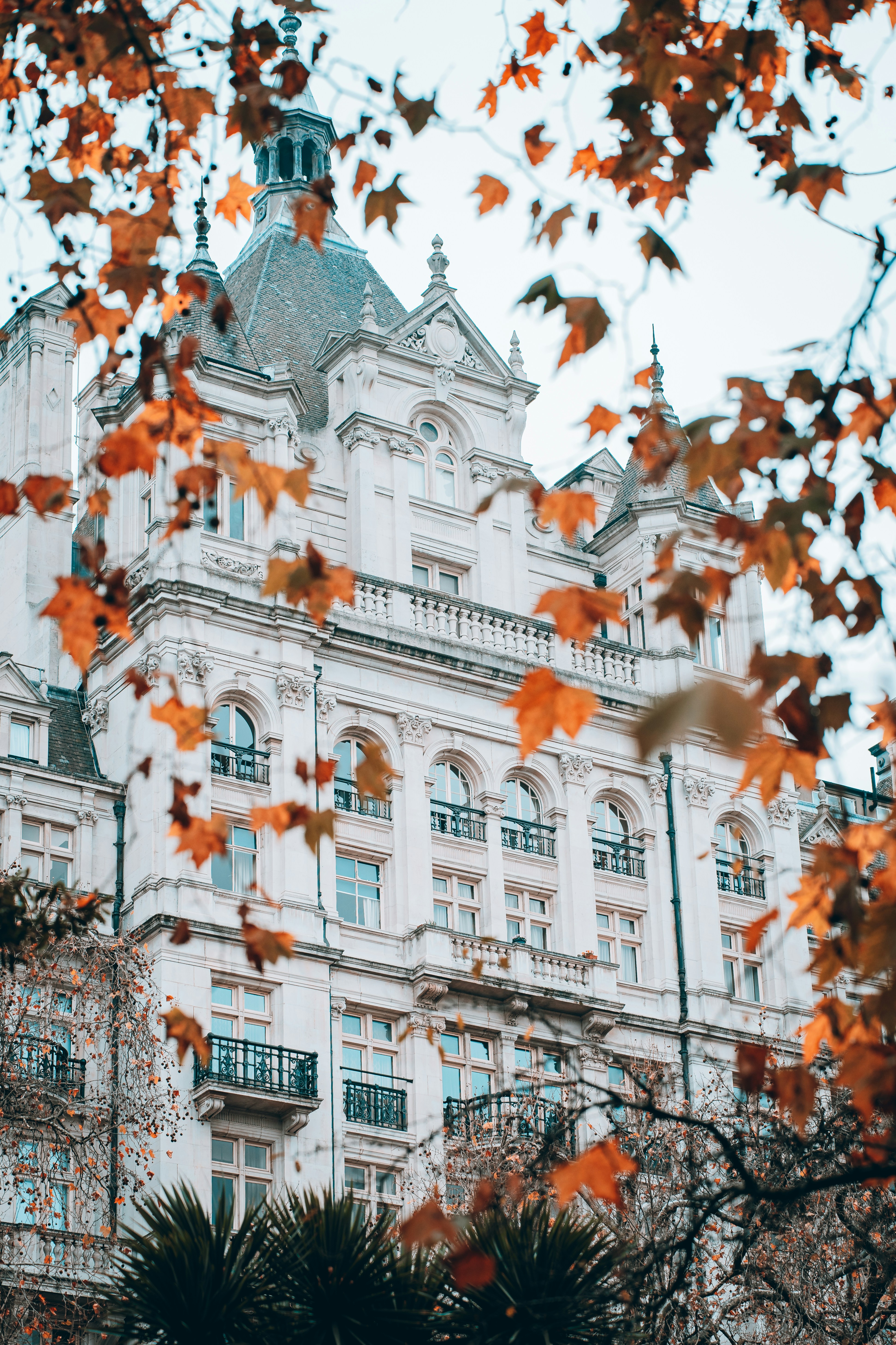 Photo by Szymon Shields with Sony Alpha 7 II