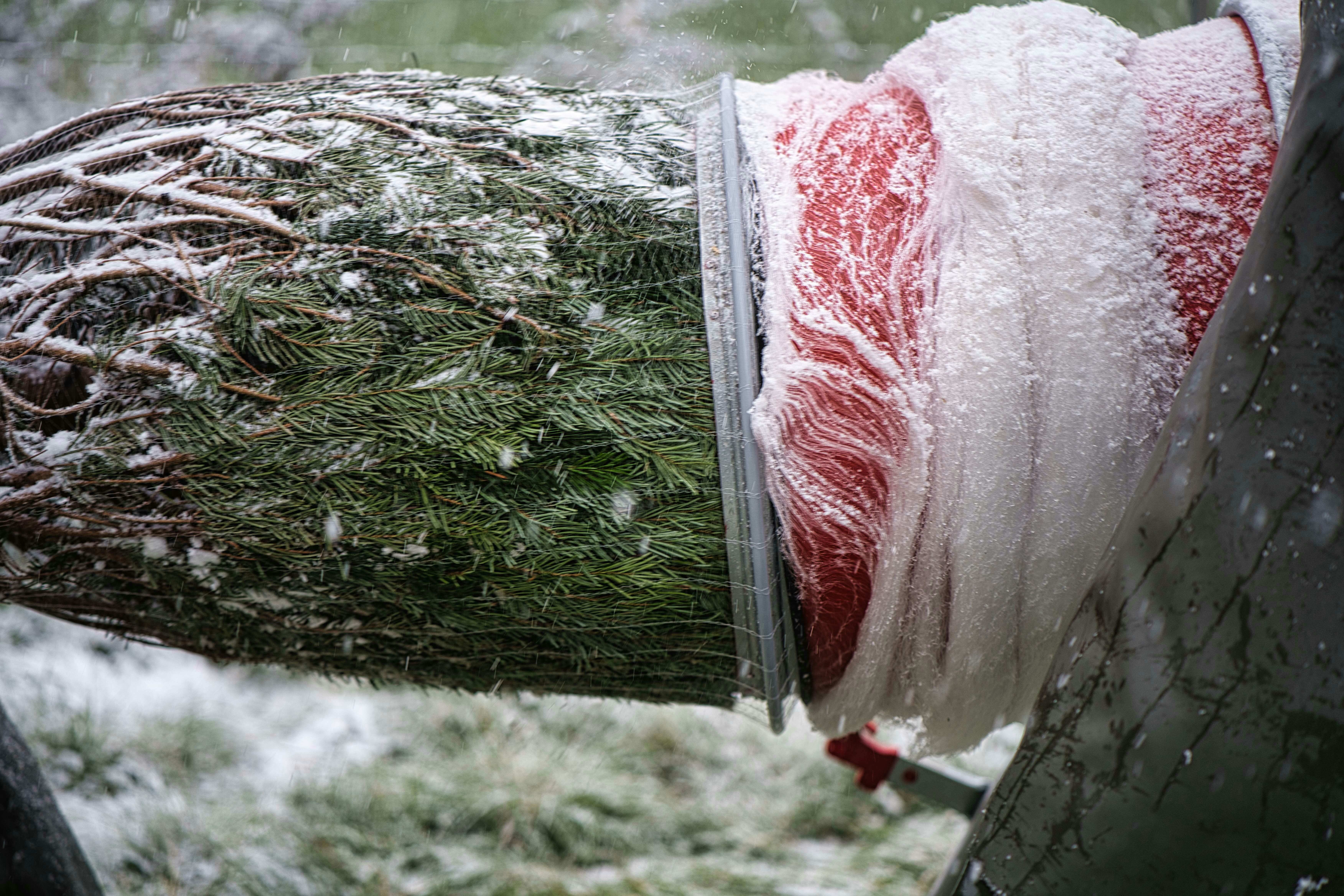 Snow-Covered Broom Trimmed with Red and White Wool