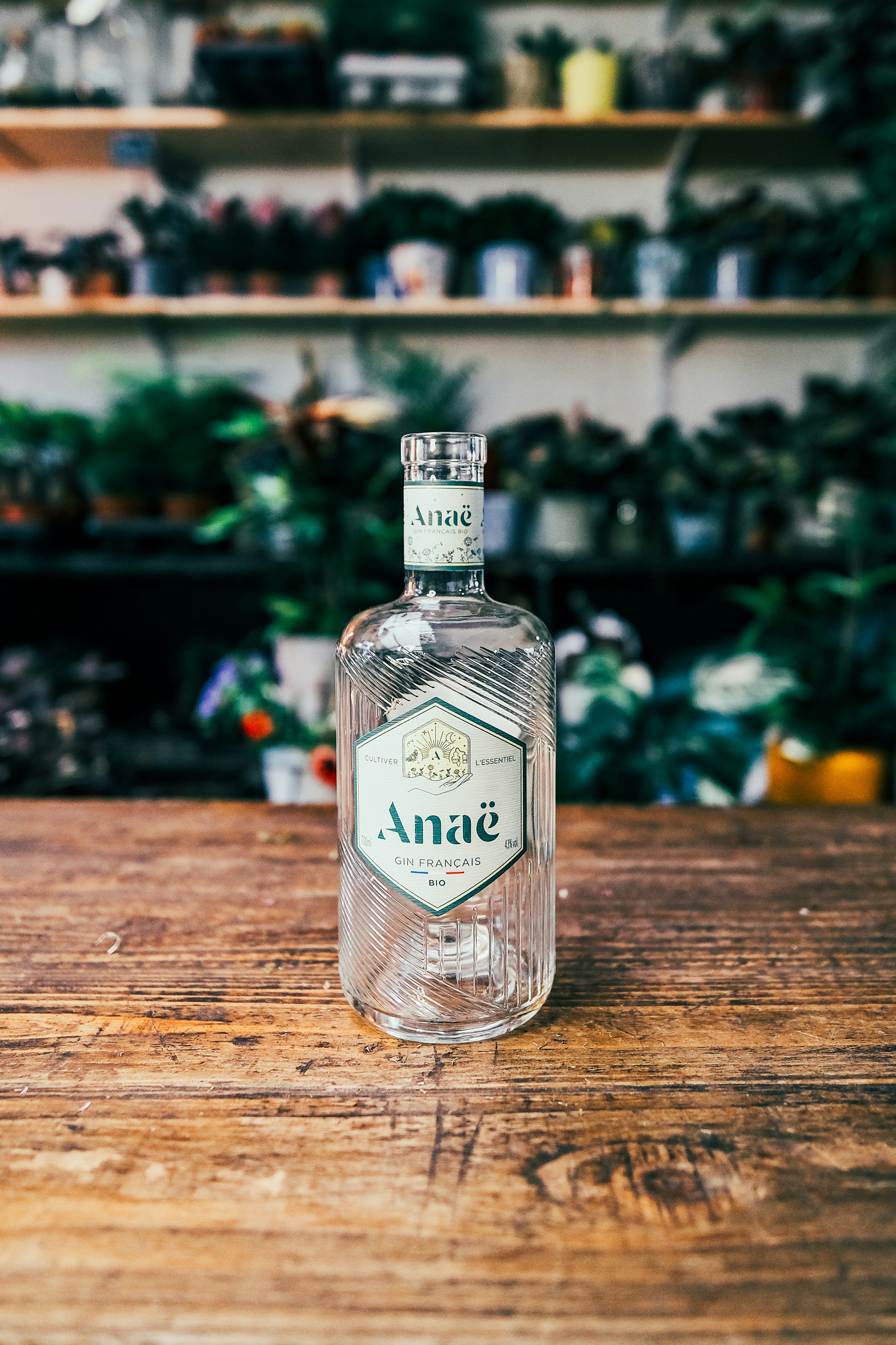 Anaë Gin Centerstage: Handcrafted Glass on Weathered Wood with a Verdant Backdrop