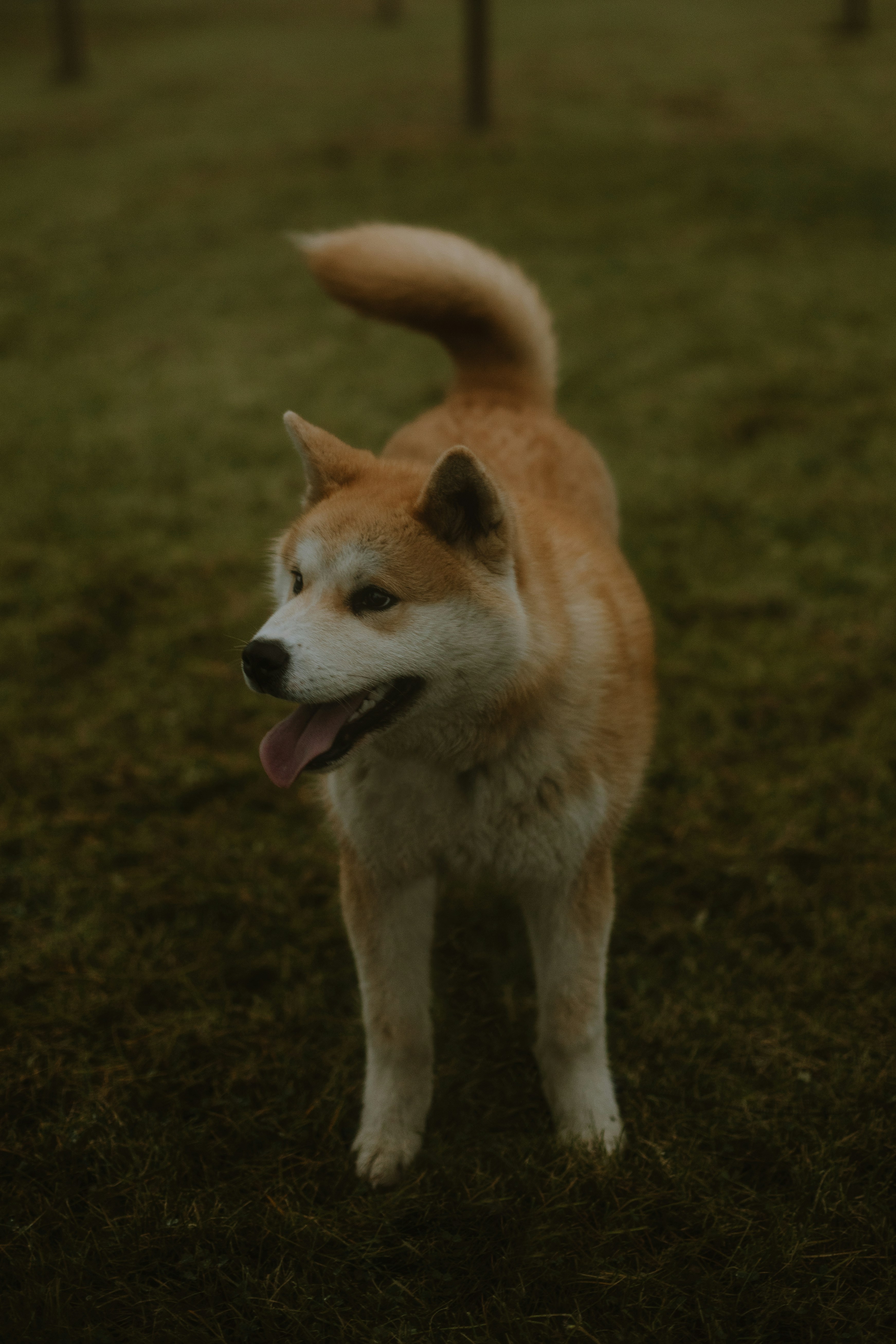 Photo by Ciocan Ciprian with Canon EOS R