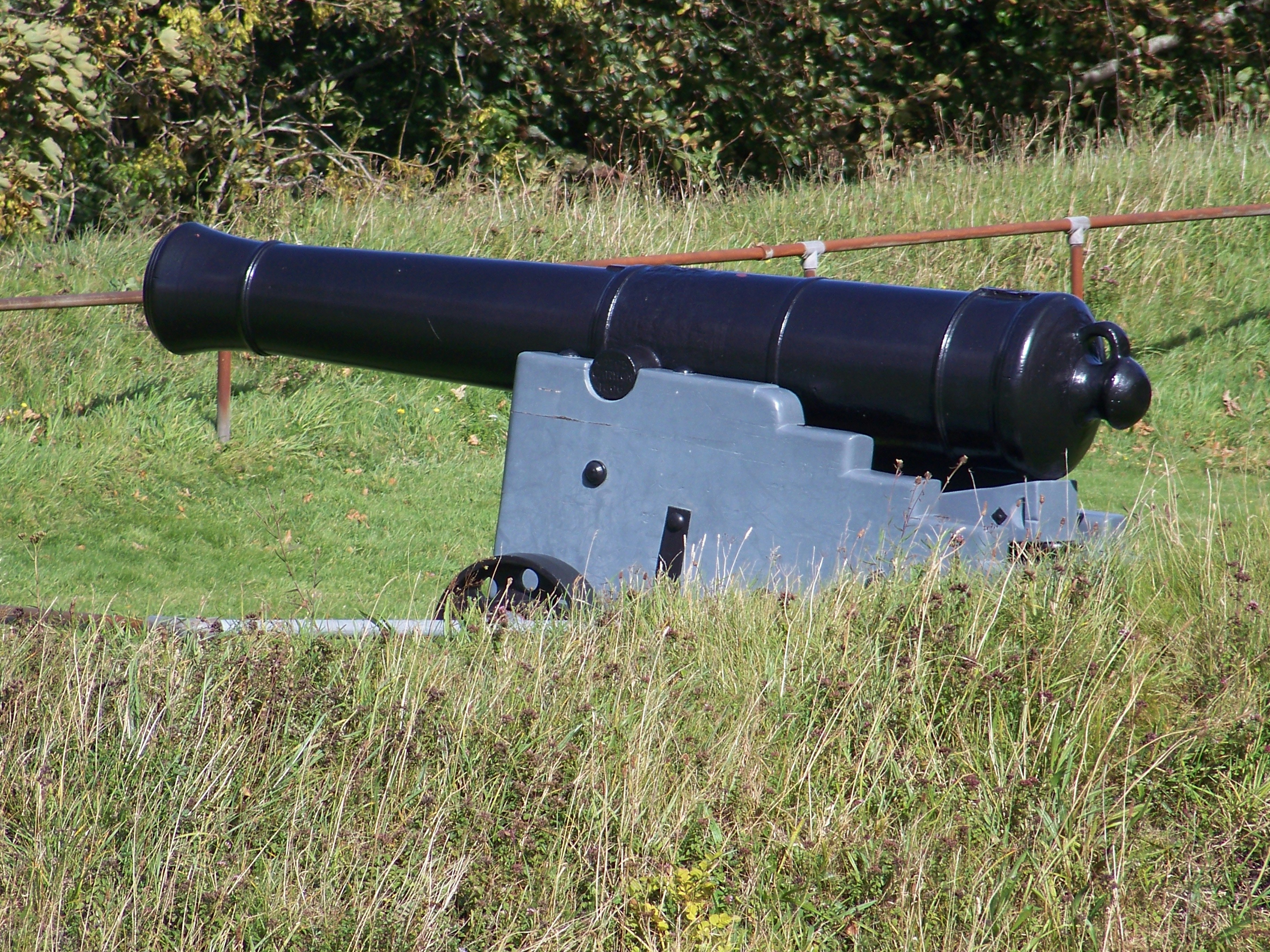 A large cannon on a field photo – Free Weapon Image on Unsplash