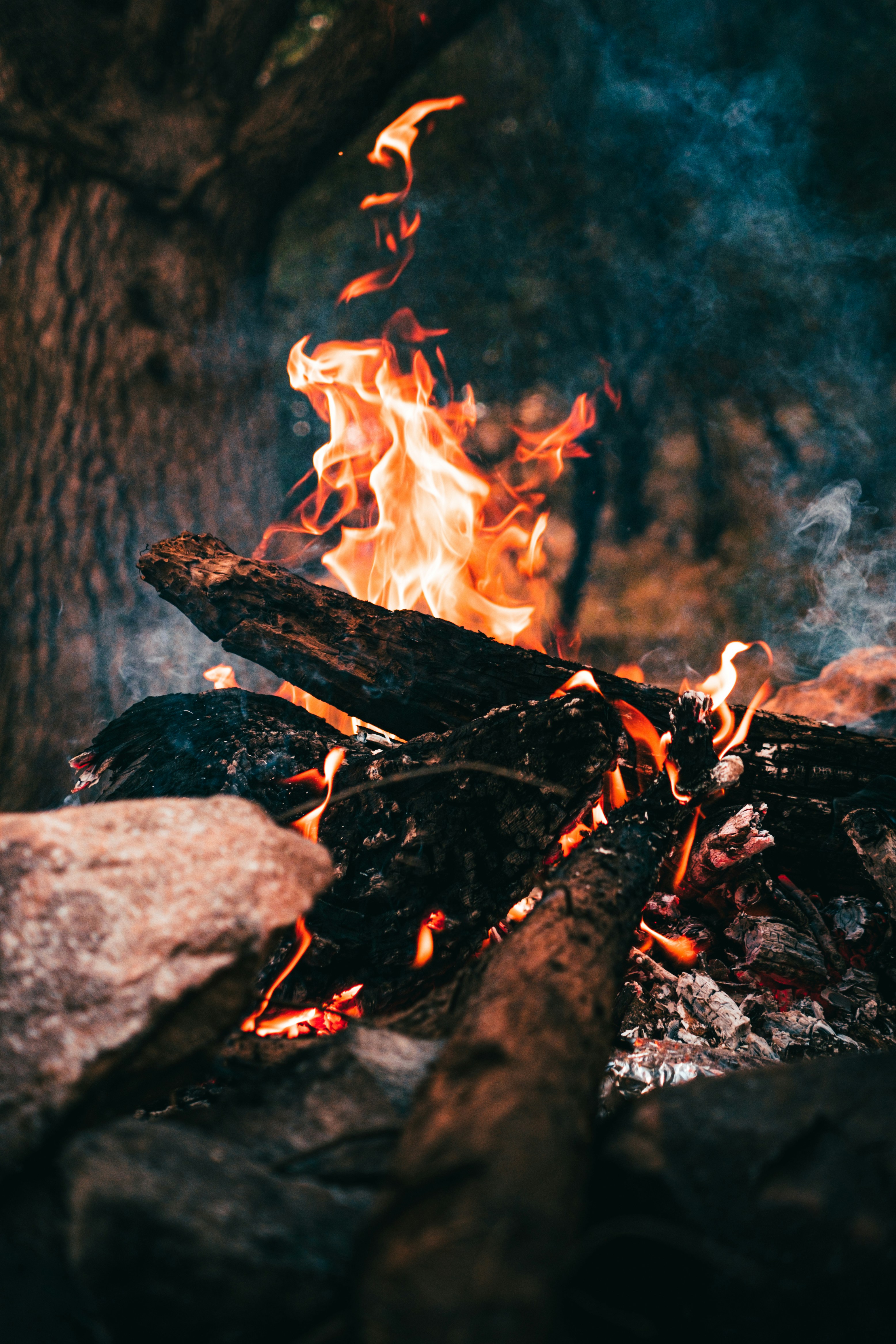 A fire with a pile of sticks and rocks photo – Free Van Image on Unsplash