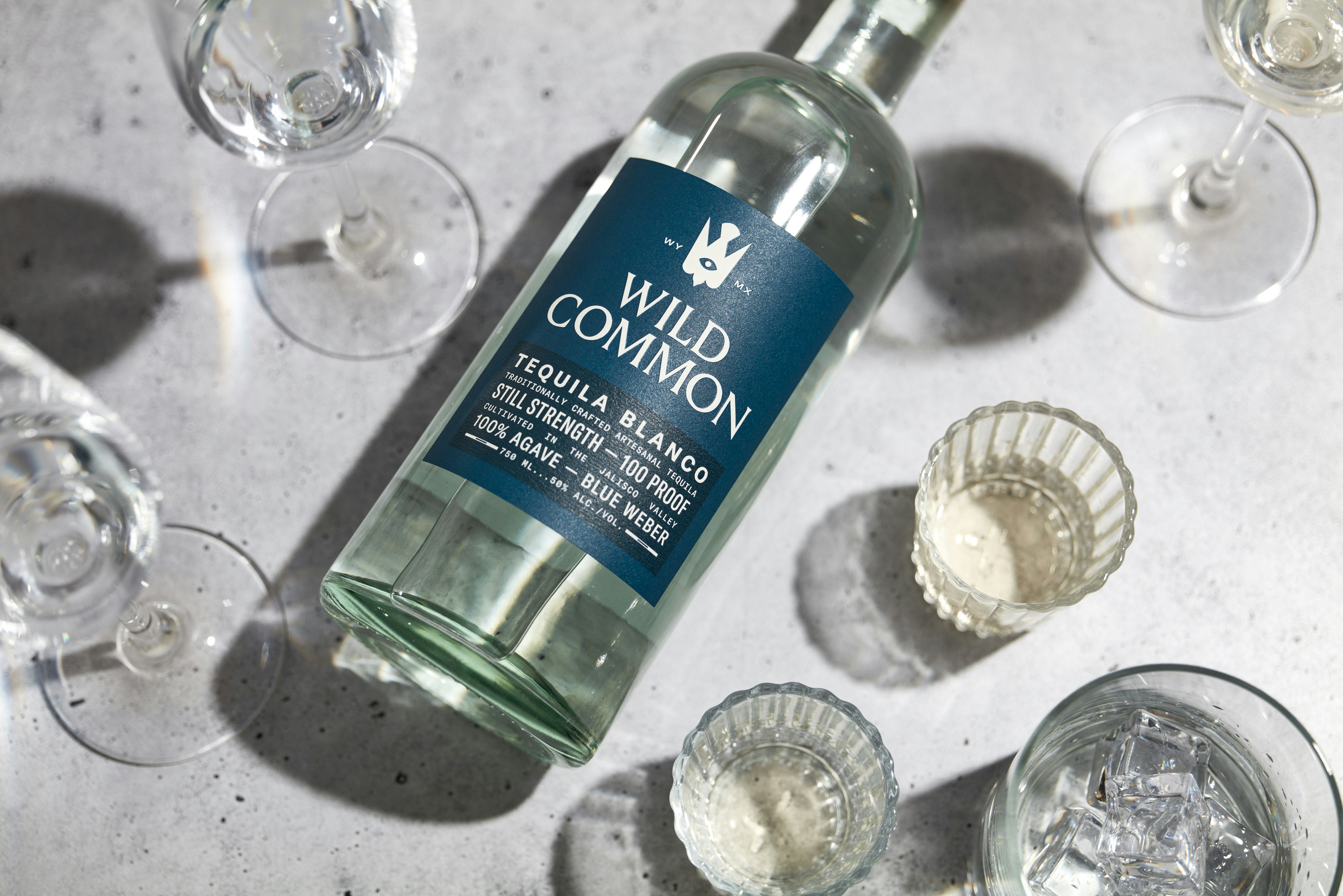 A bottle of alcohol photo – Free Wild common Image on Unsplash