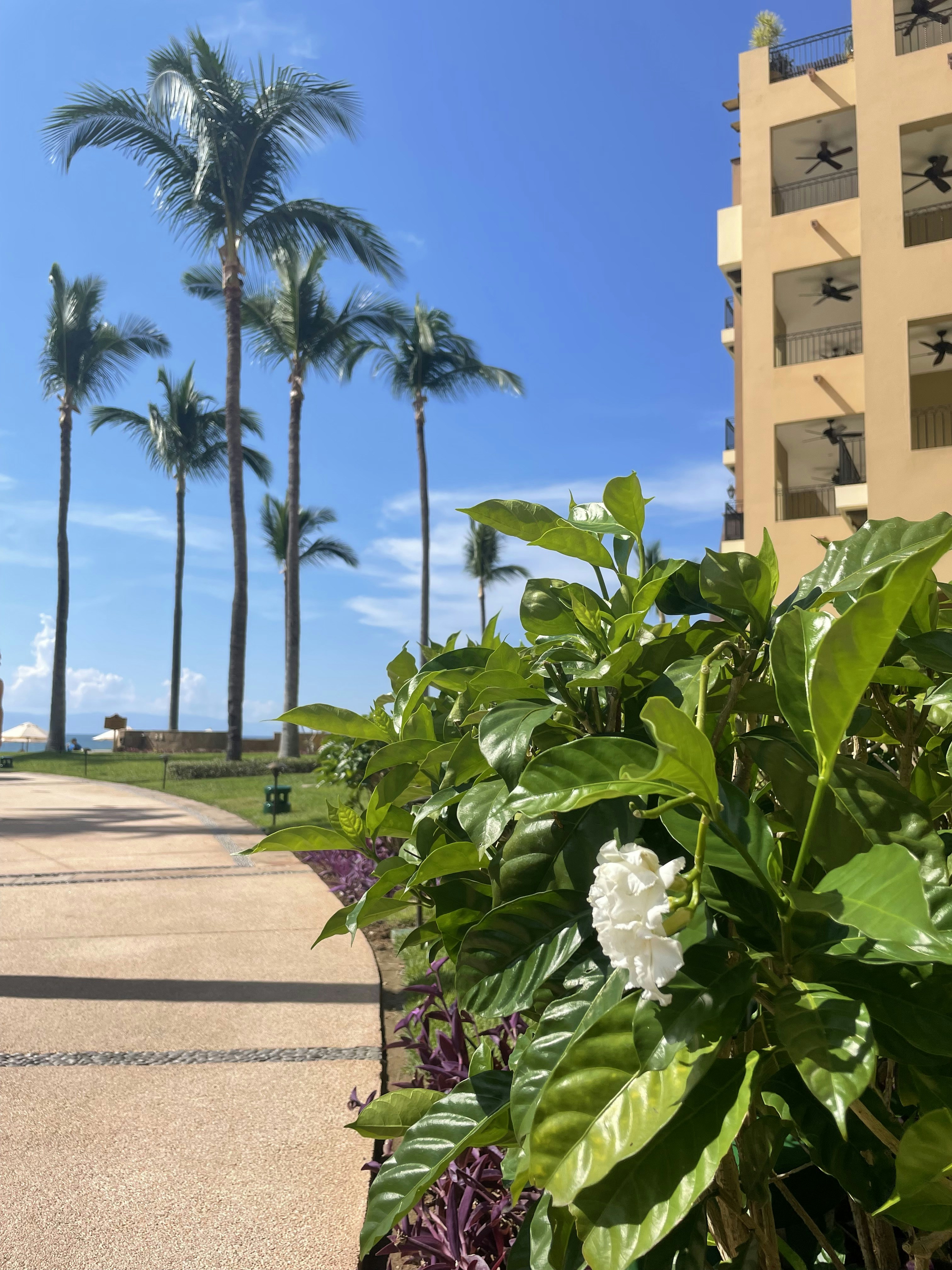 Beautiful Mexican Resort Villa La Estancia