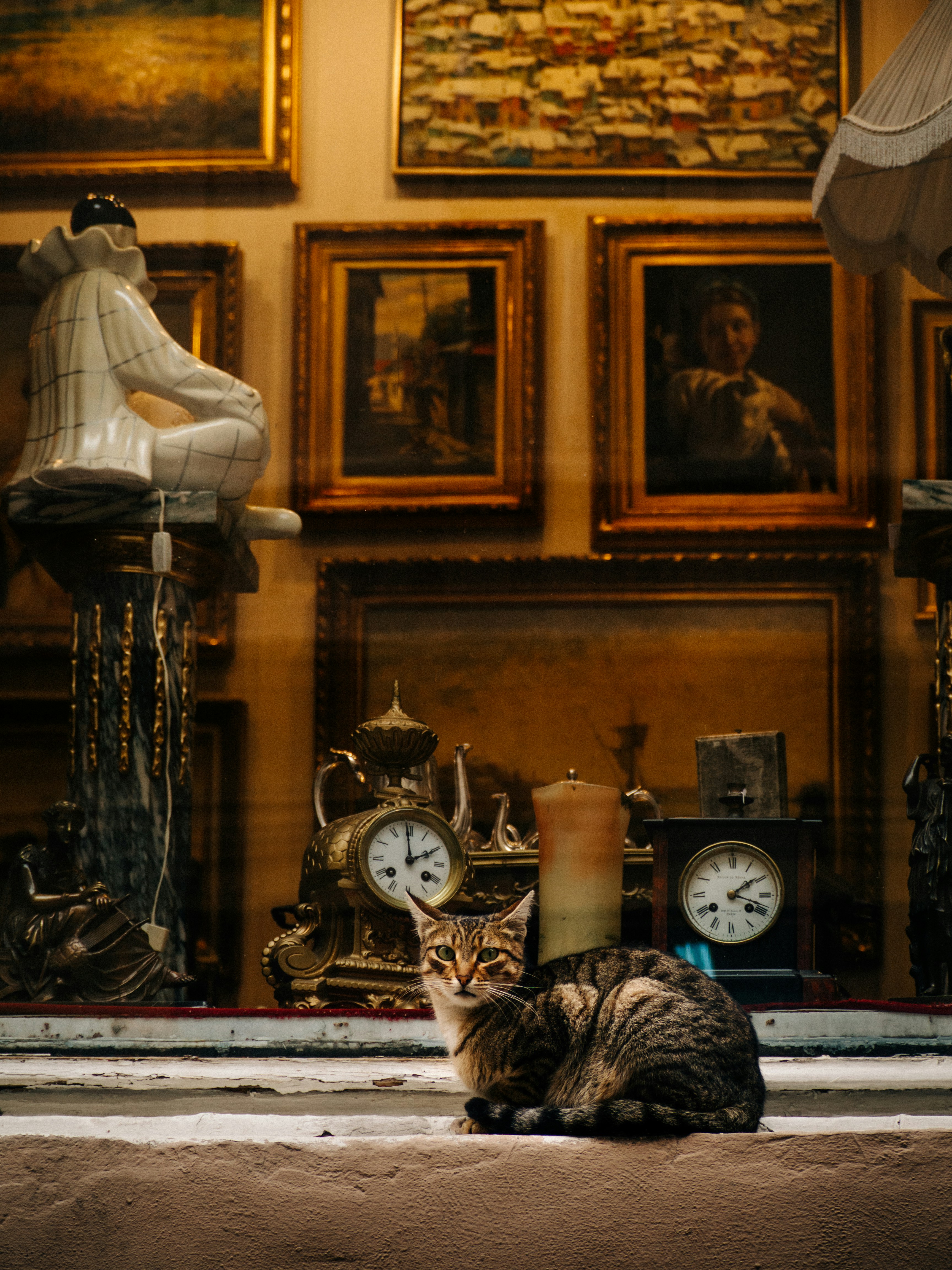 While i was wandering in streets of Istanbul i came across to this little fella, he was resting in front of a antique shop.