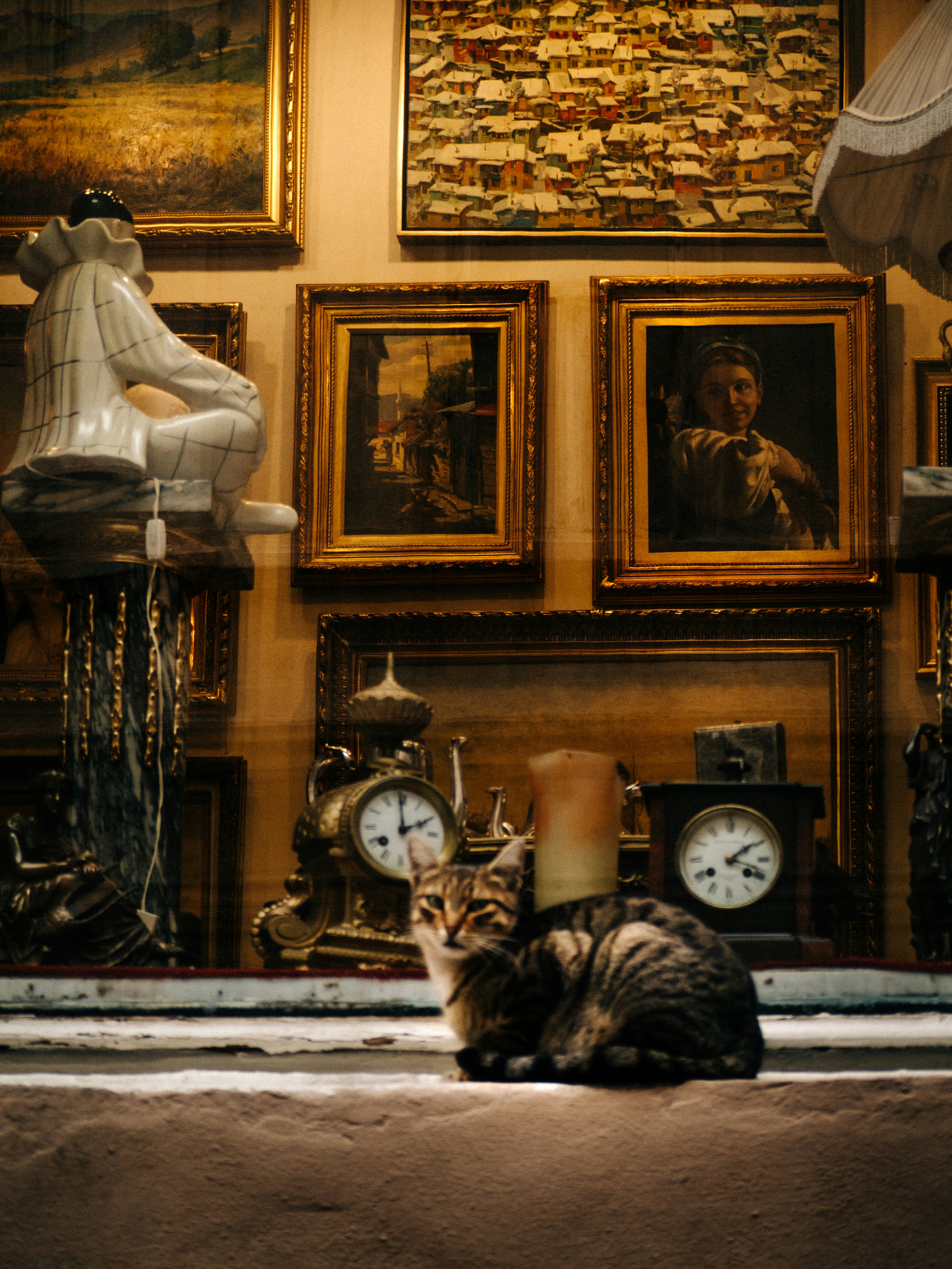 Cat Beneath Portraits and Ticking Clocks in a Warm Antique Window