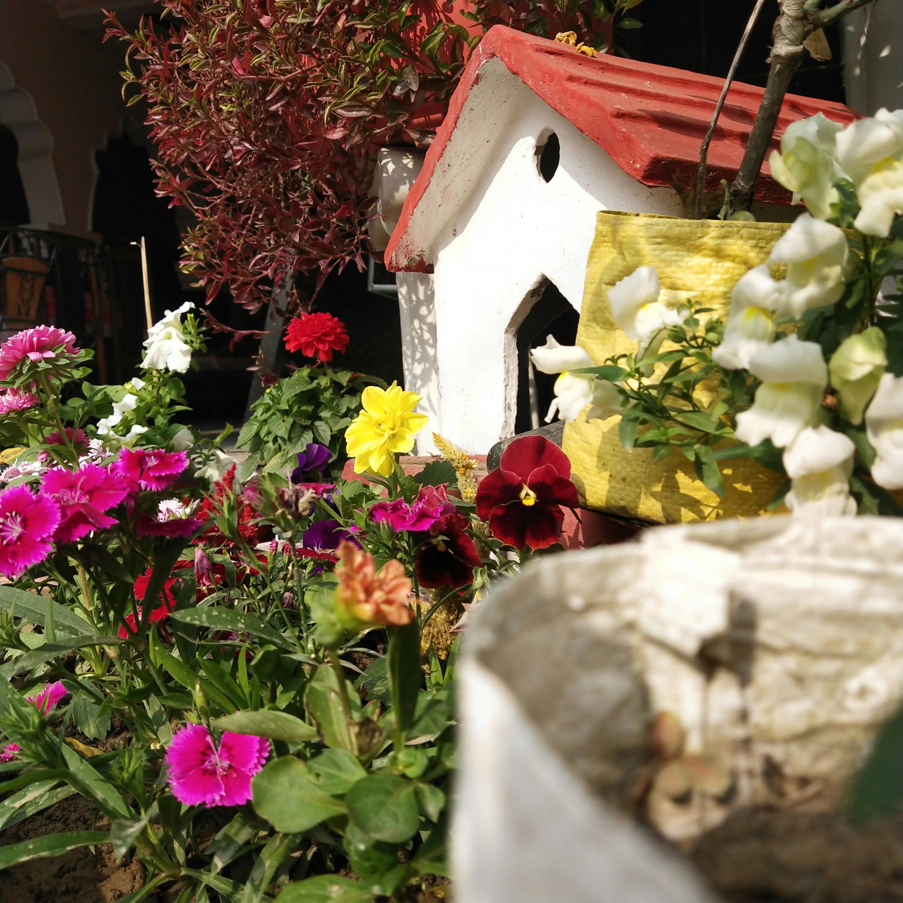 Colorful flowers surround a charming miniature house, creating a vibrant garden scene filled with life and detail.