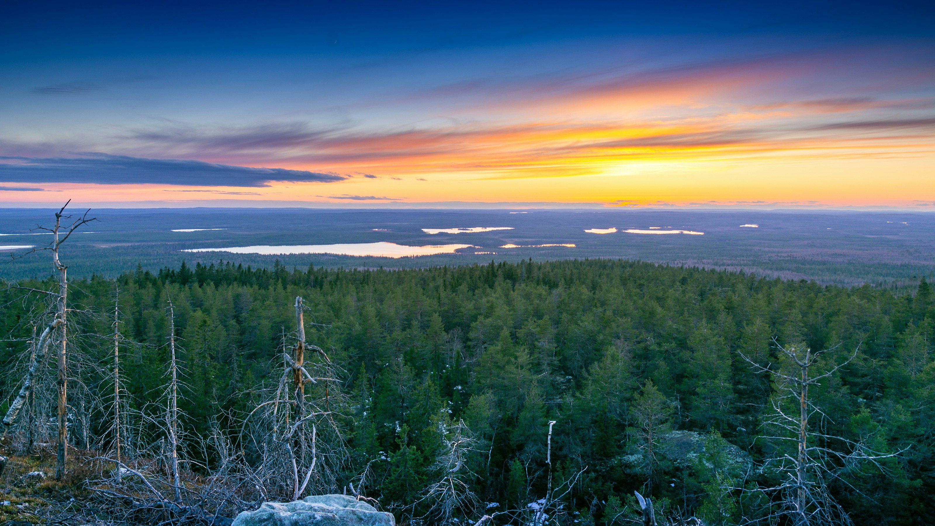 A landscape with trees and water in the background photo – Free Sunset ...