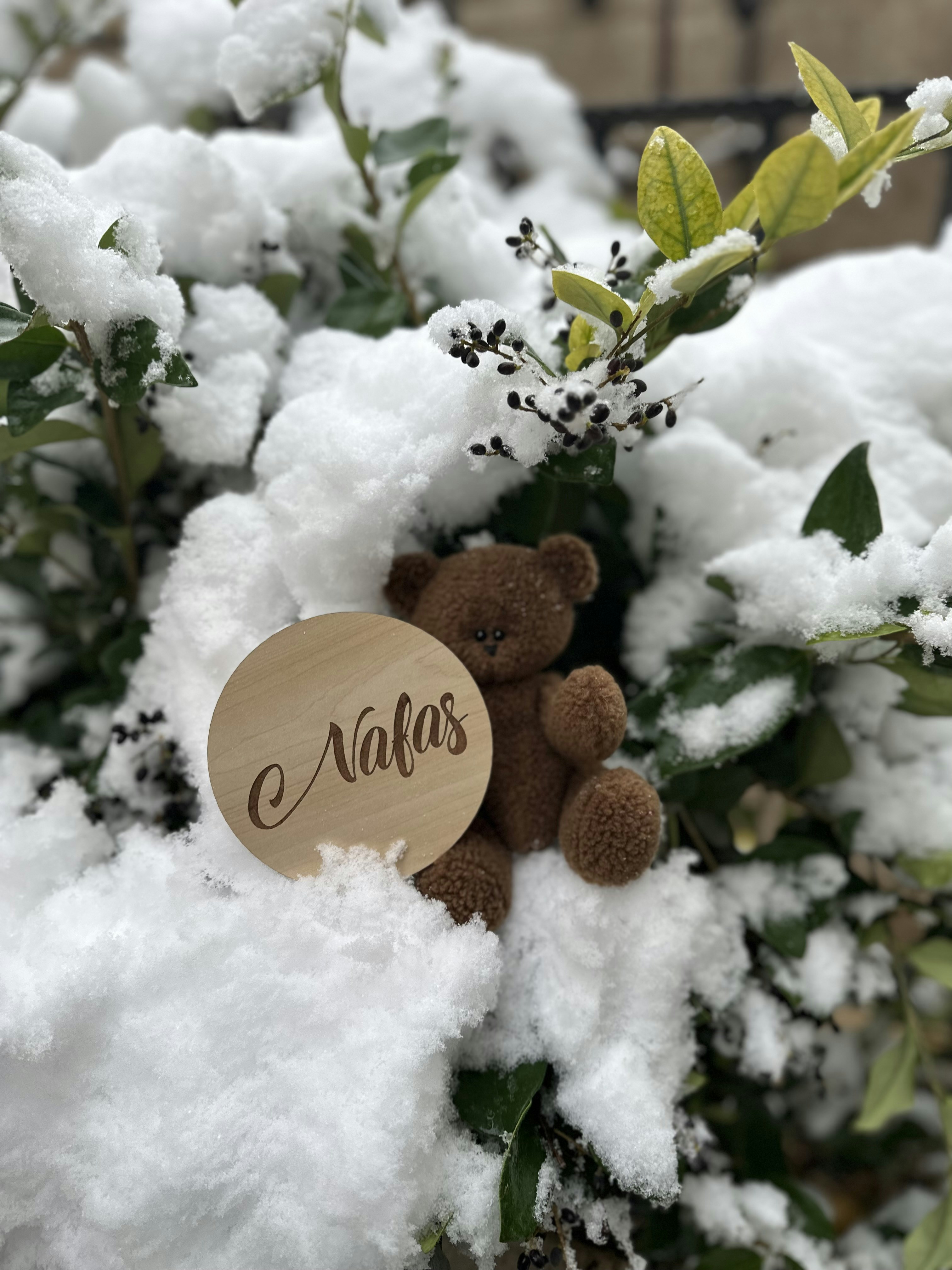 Snow-Cushioned Plush Bear Among Branches with Wood Tag