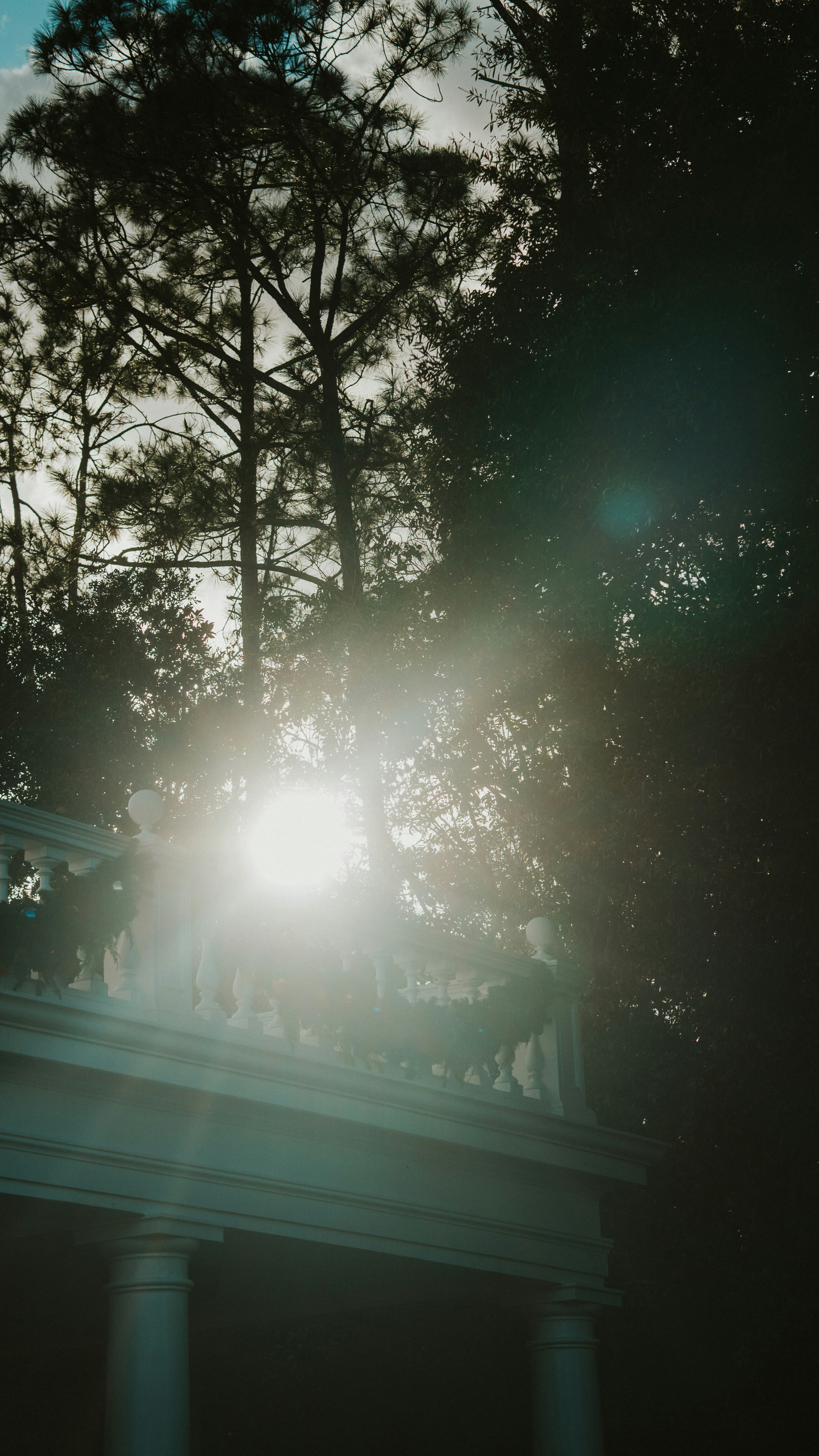 Sunburst Through Pines Over a Classical Veranda