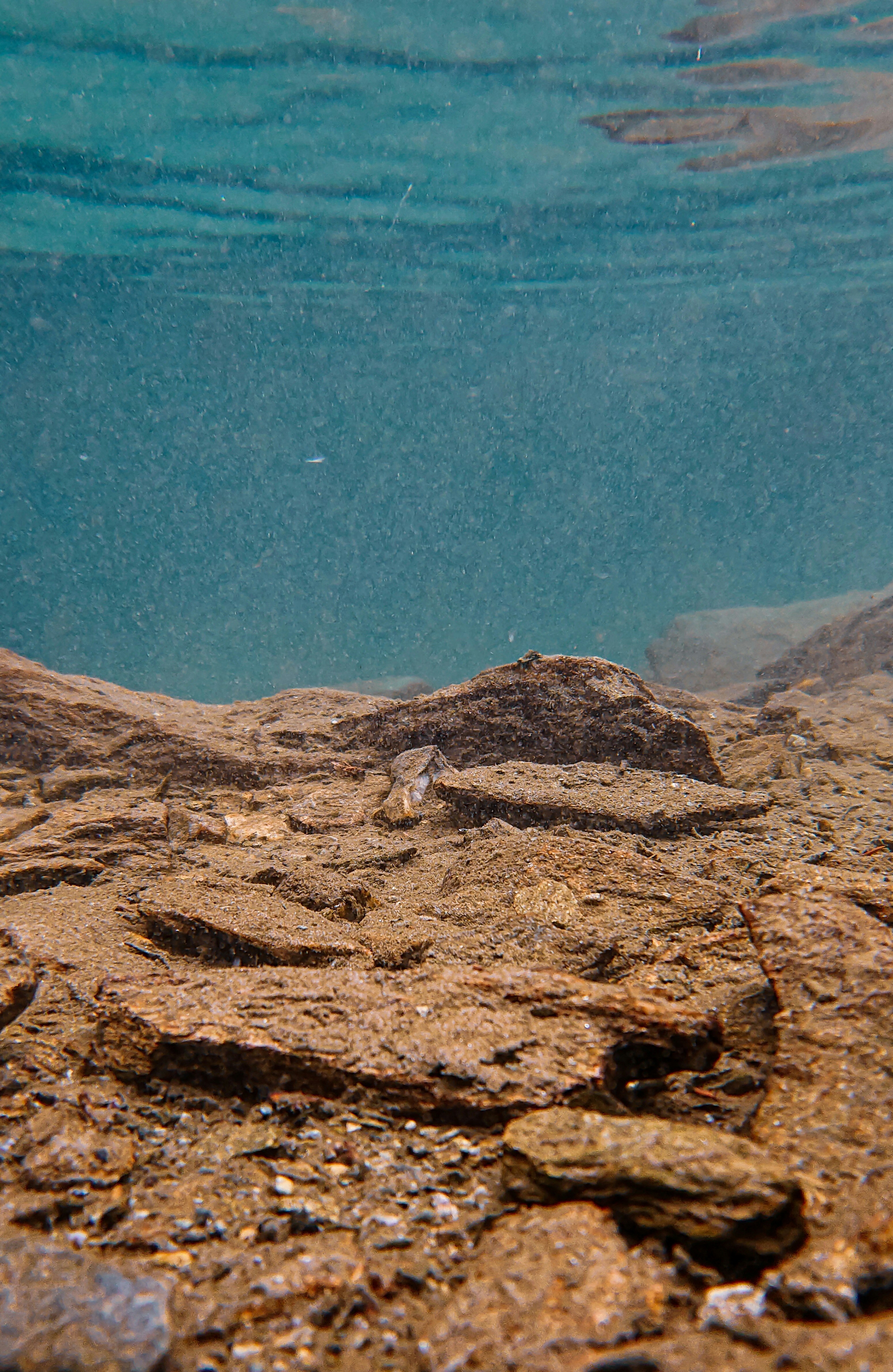 Rugged rocky seabed stretches across the frame, with fine particles drifting in turquoise water. The scene emphasizes texture and depth in a shallow underwater environment.