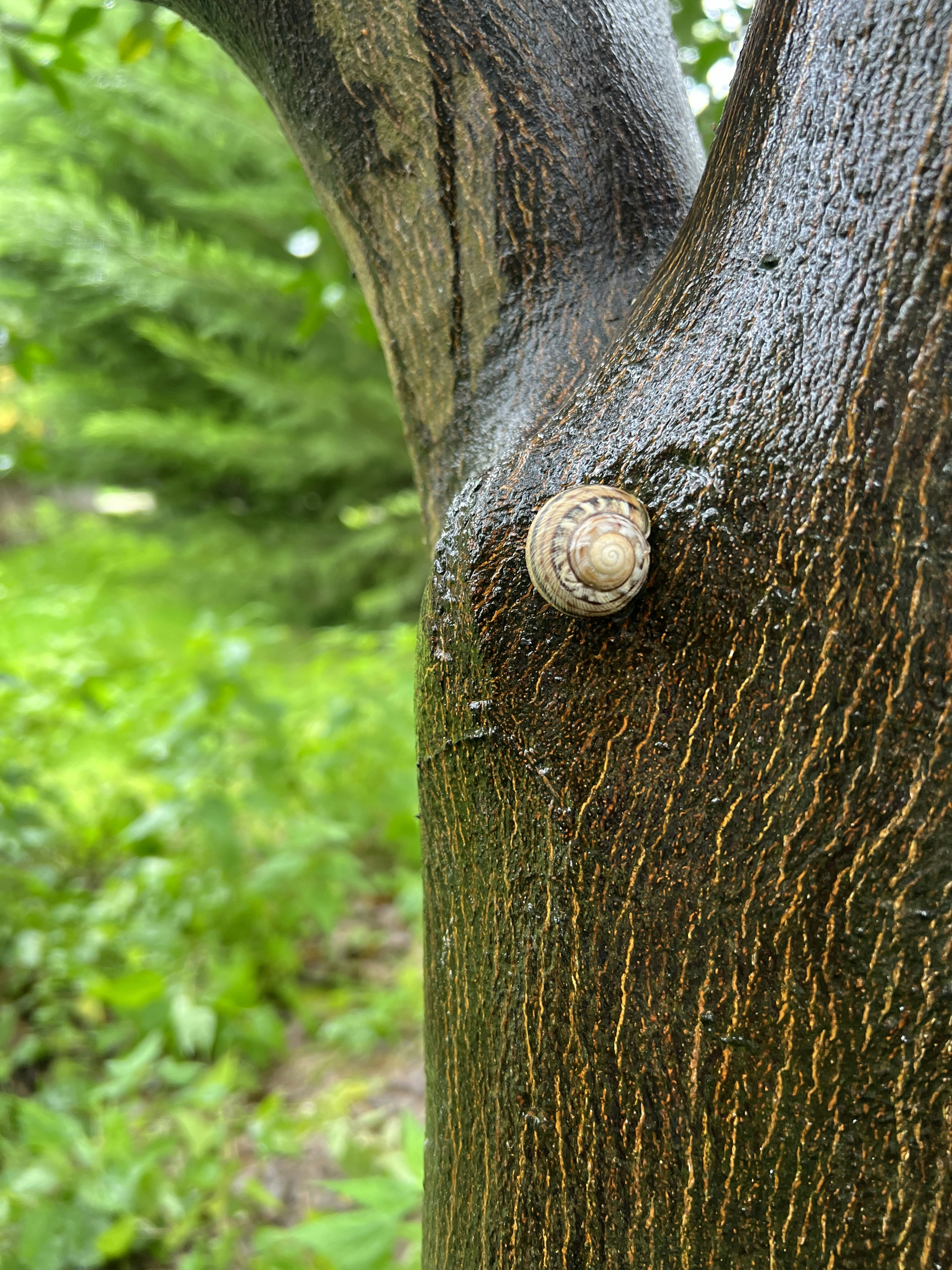 Photo by Sara Makhmalianfar with Apple iPhone 13 Pro Max