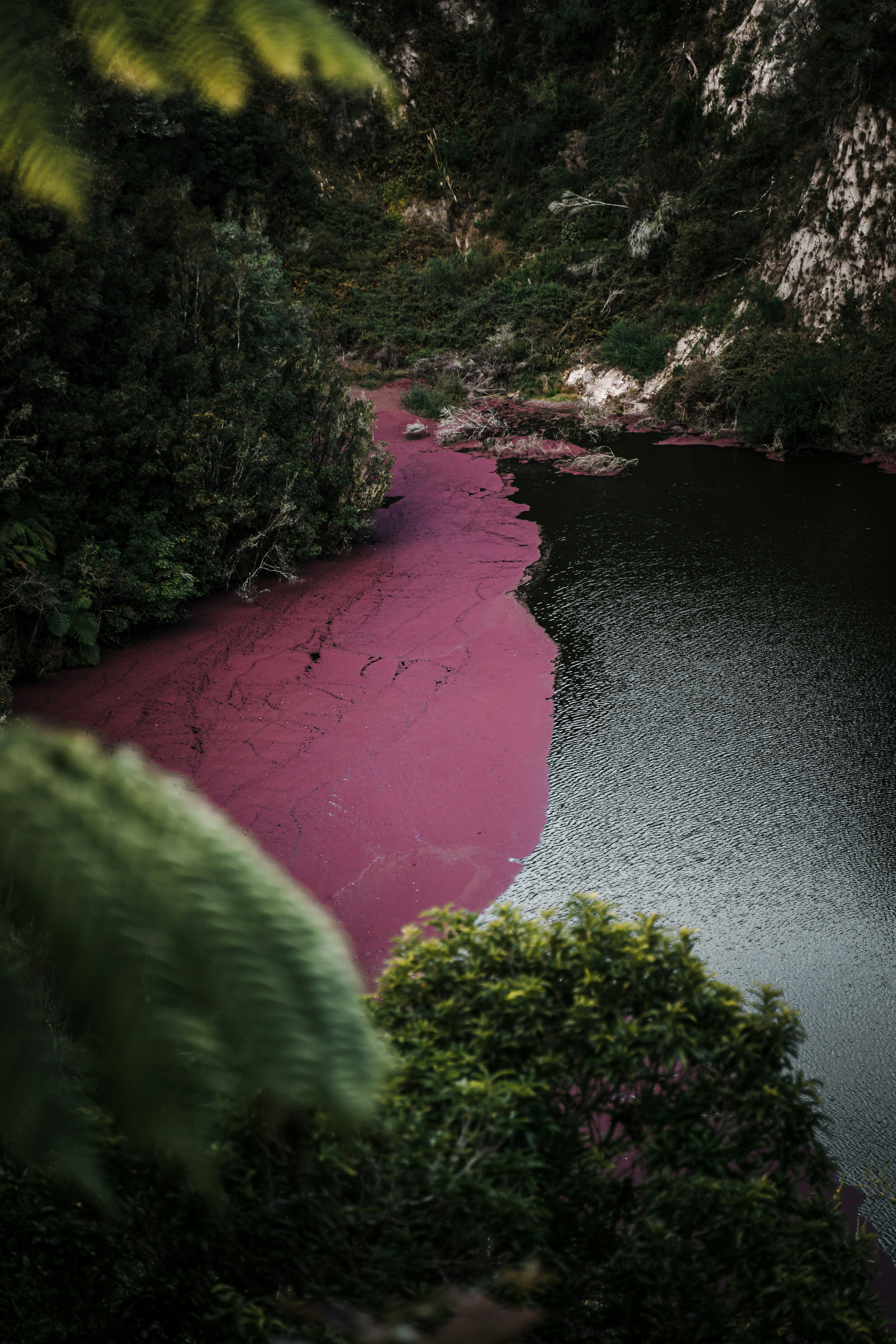 Photo by Roberto Shumski with Sony Alpha 7 III