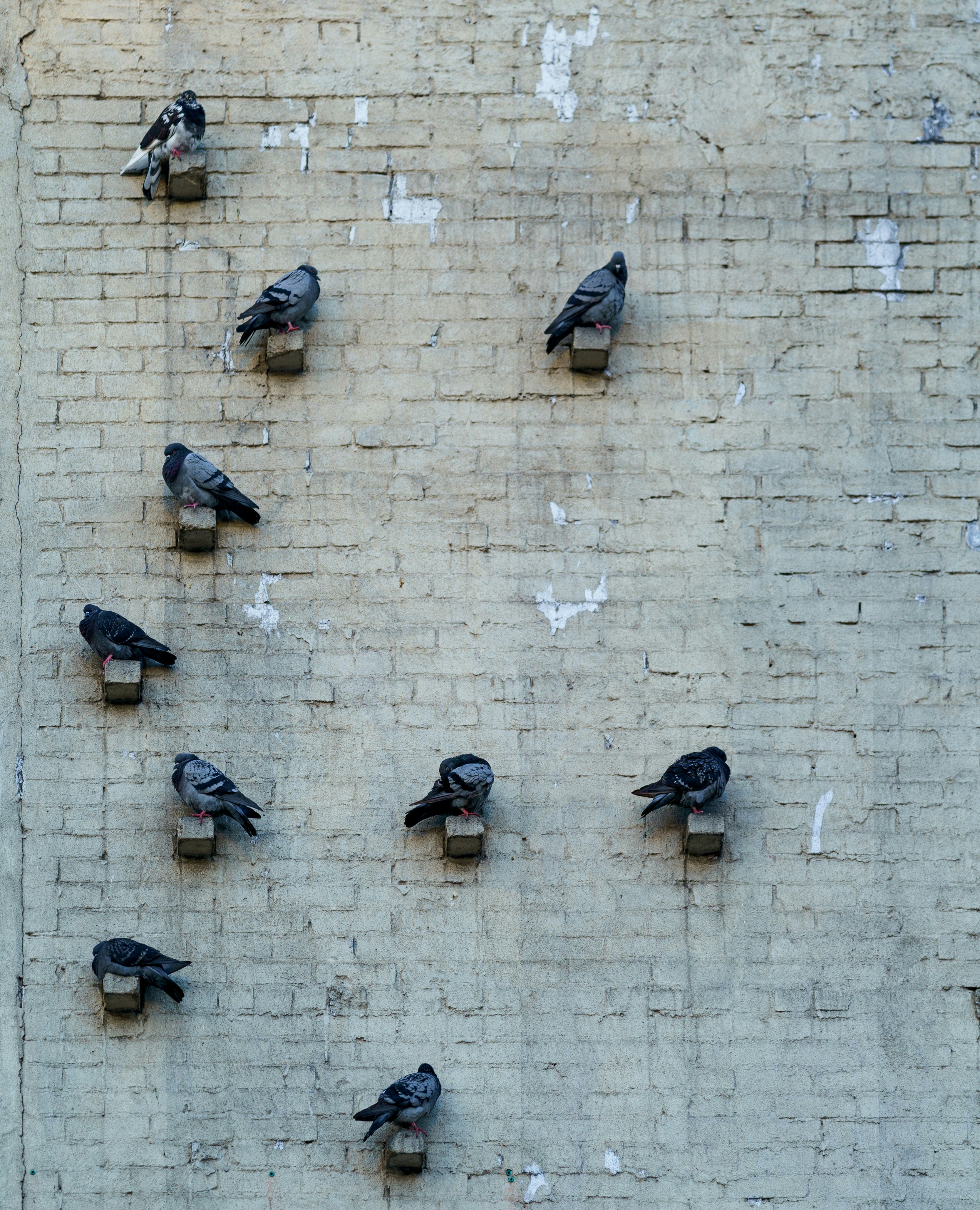 Photo by Jason Ross with Sony Alpha 7 III