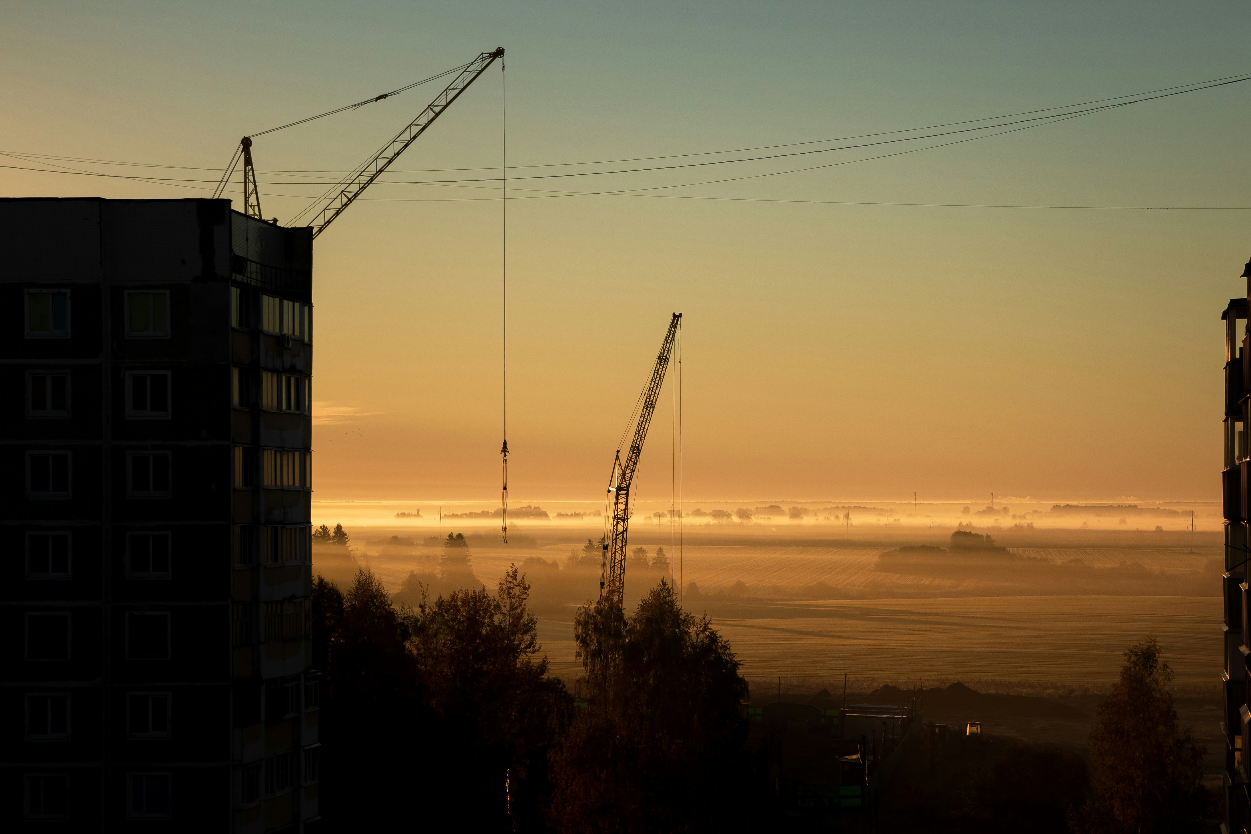 Crane Rising at Dawn: Silhouettes Against a Fog-Wrapped Horizon