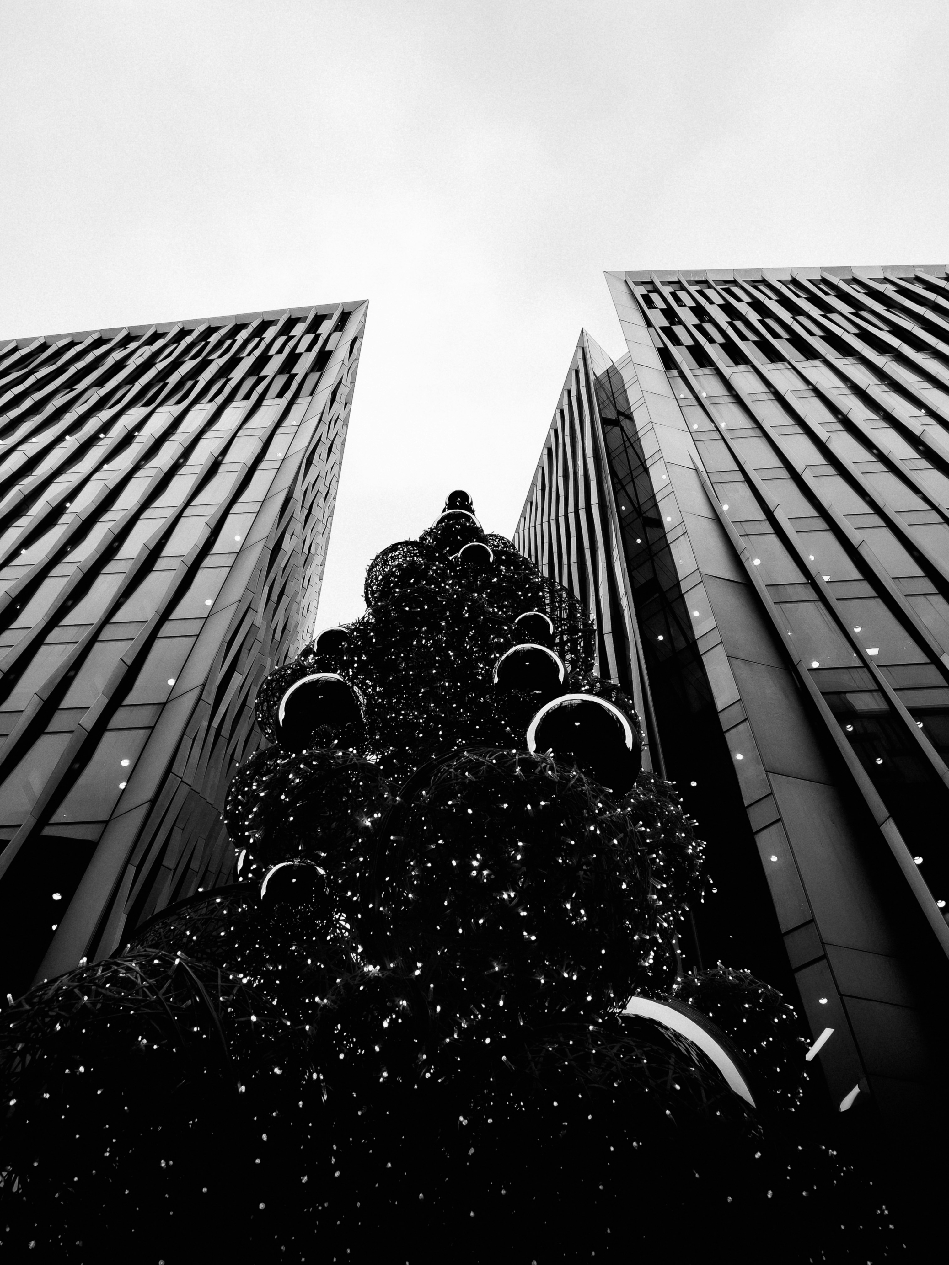Black-and-white photograph of a lit Christmas tree between two tall office towers, viewed from a low angle toward the bright sky.