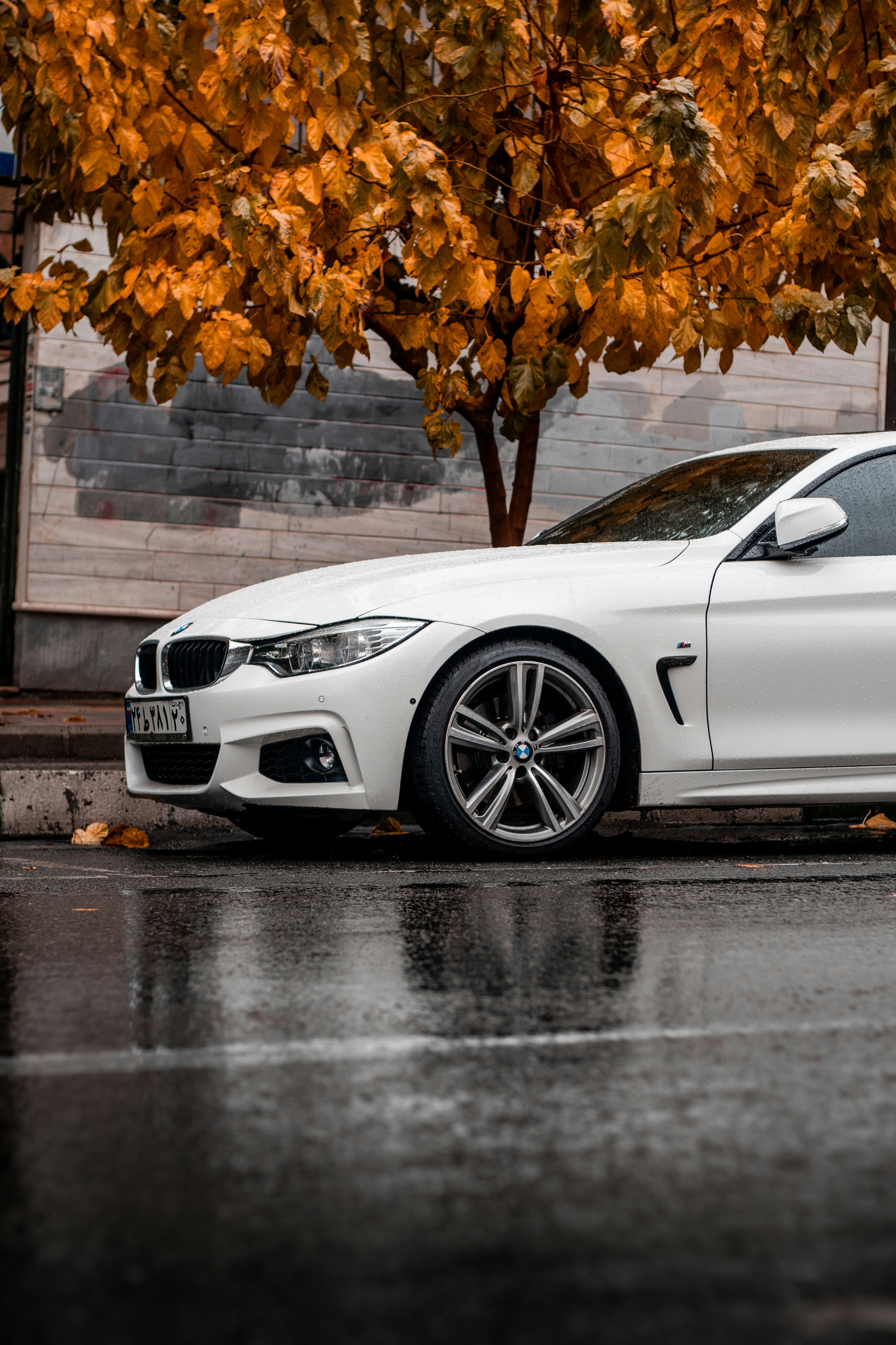 White BMW parked beside a tree with orange autumn leaves; damp pavement reflects the car, suggesting recent rain. Photograph highlights urban serenity and seasonal color contrast.