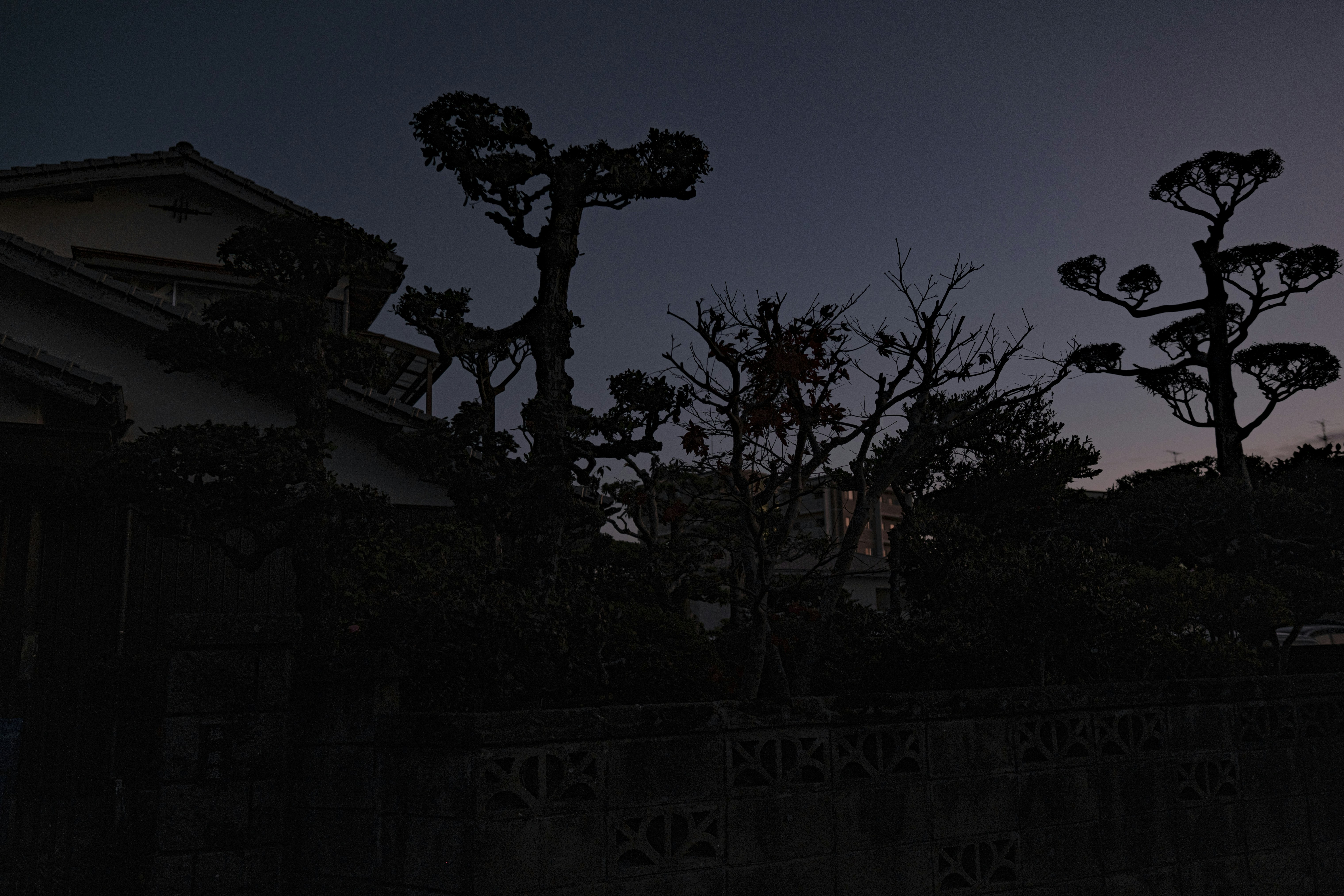 Quiet moonlit Japanese garden silhouettes against a fading evening sky