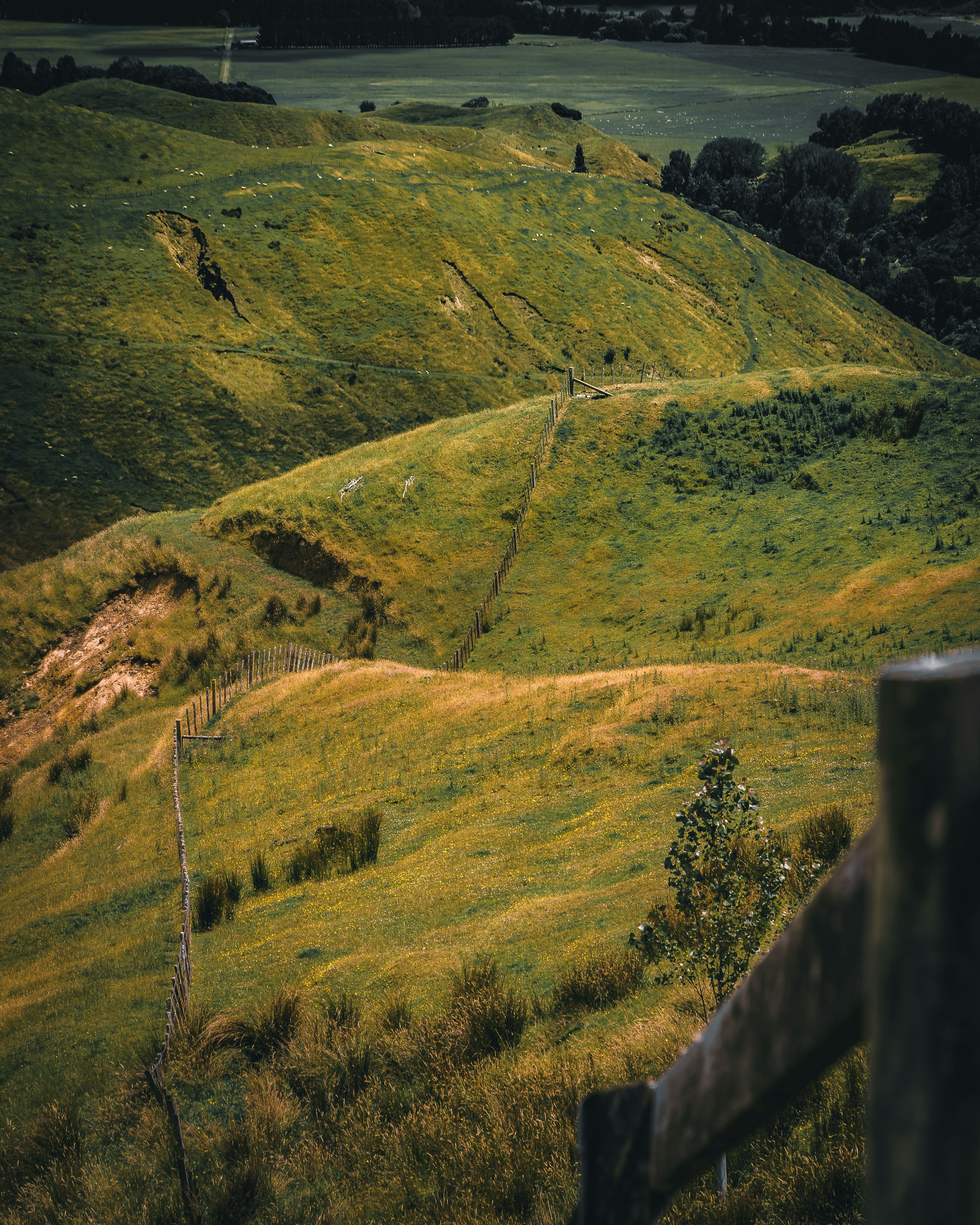 Lush green hills undulate under a soft light, with a rustic fence winding through the landscape. The scene captures the serene beauty of rural terrain.